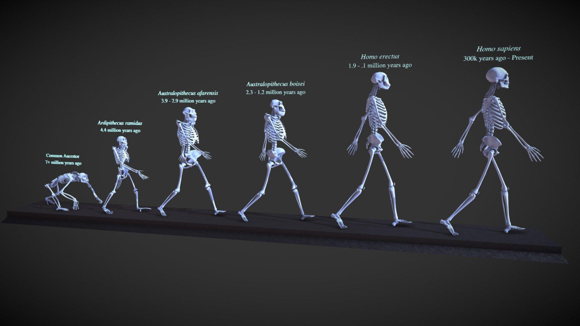 Homo Sapiens Wallpapers - Top Free Homo Sapiens Backgrounds ...
