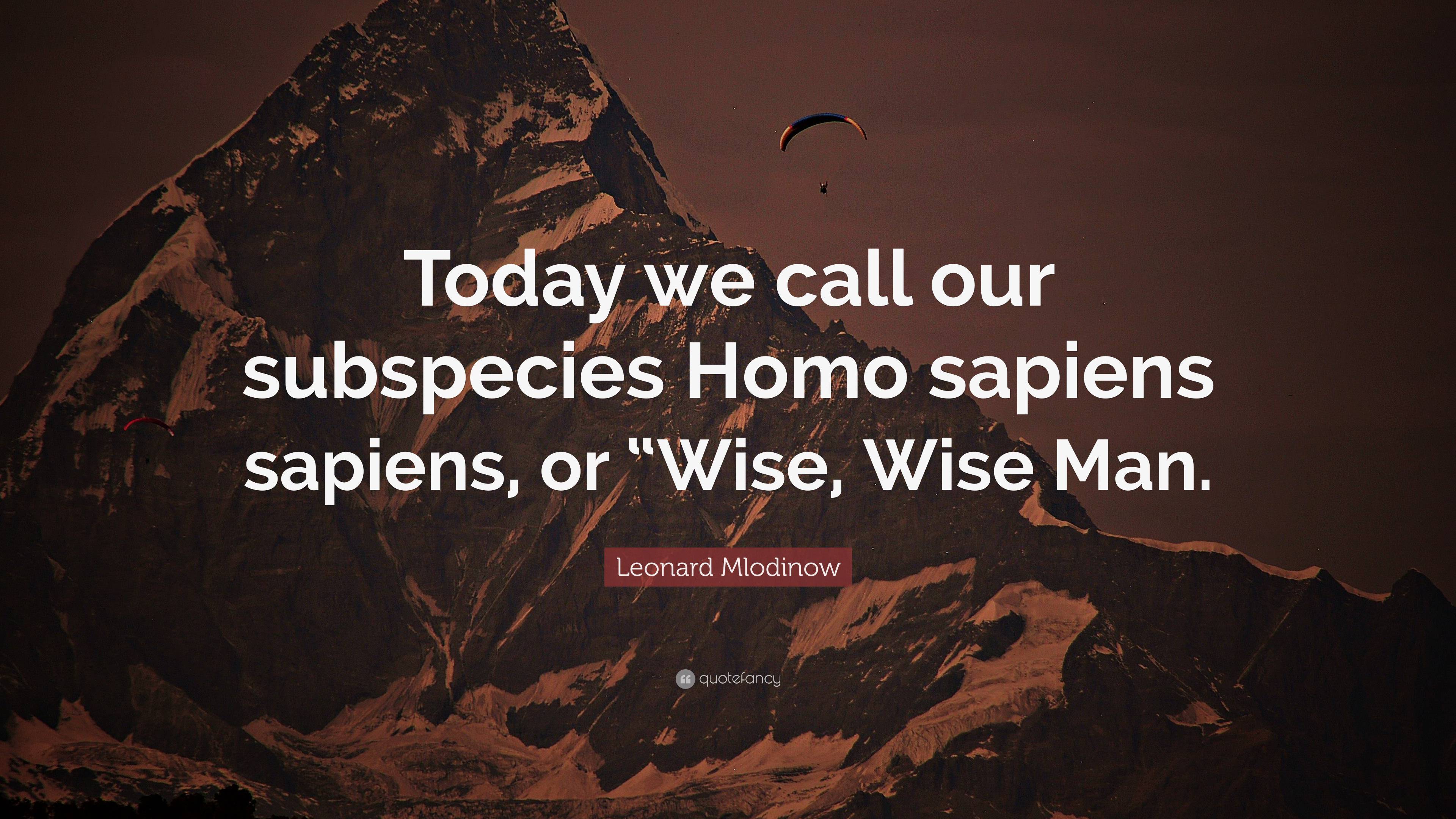 Homo Sapiens Wallpapers - Top Free Homo Sapiens Backgrounds ...