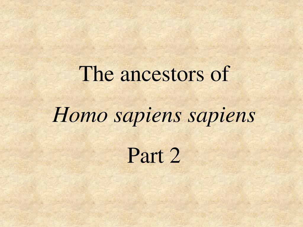 Homo Sapiens Wallpapers - Top Free Homo Sapiens Backgrounds ...