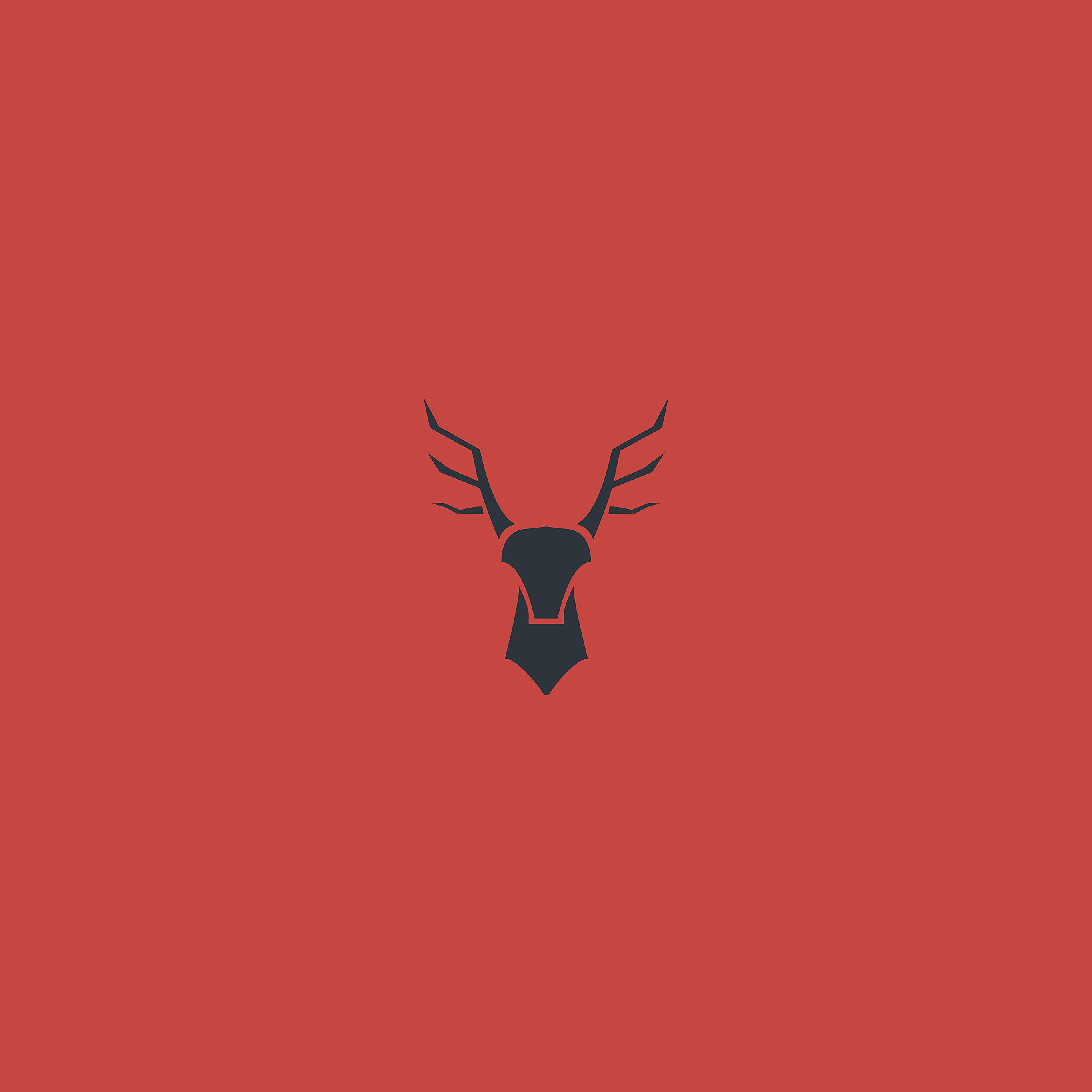 Rudolf Wallpapers - Top Free Rudolf Backgrounds - WallpaperAccess