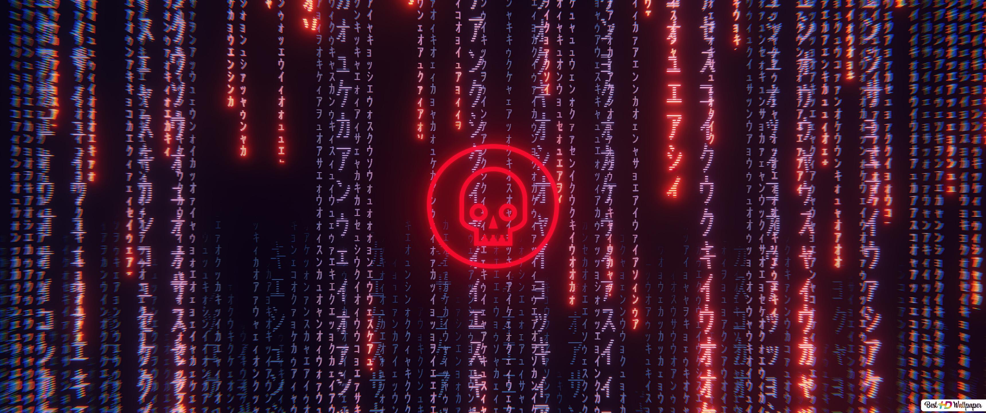 3440x1440 Matrix Wallpapers - Top Free 3440x1440 Matrix Backgrounds ...