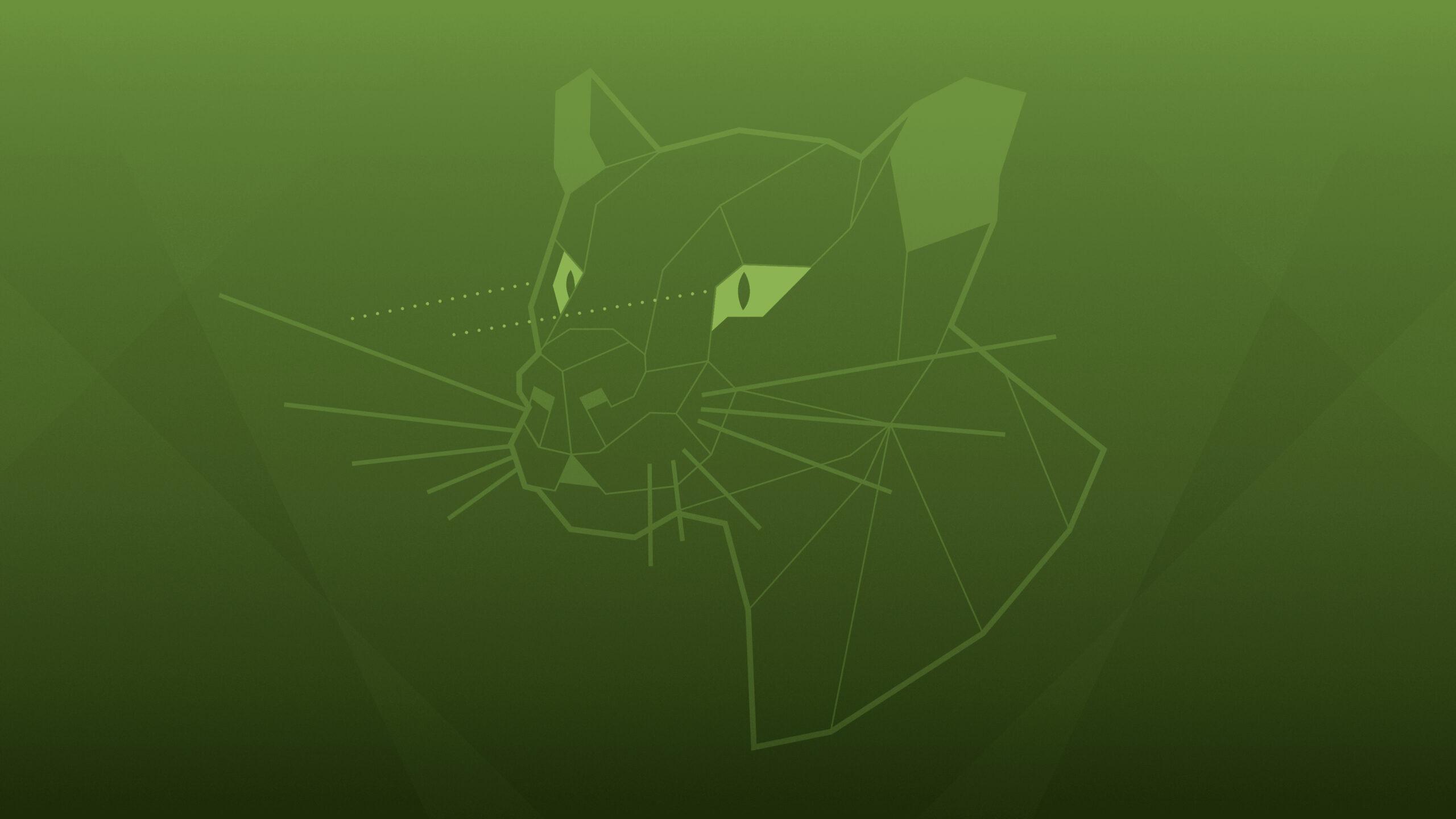 Ubuntu Mate Wallpapers - Top Free Ubuntu Mate Backgrounds - WallpaperAccess