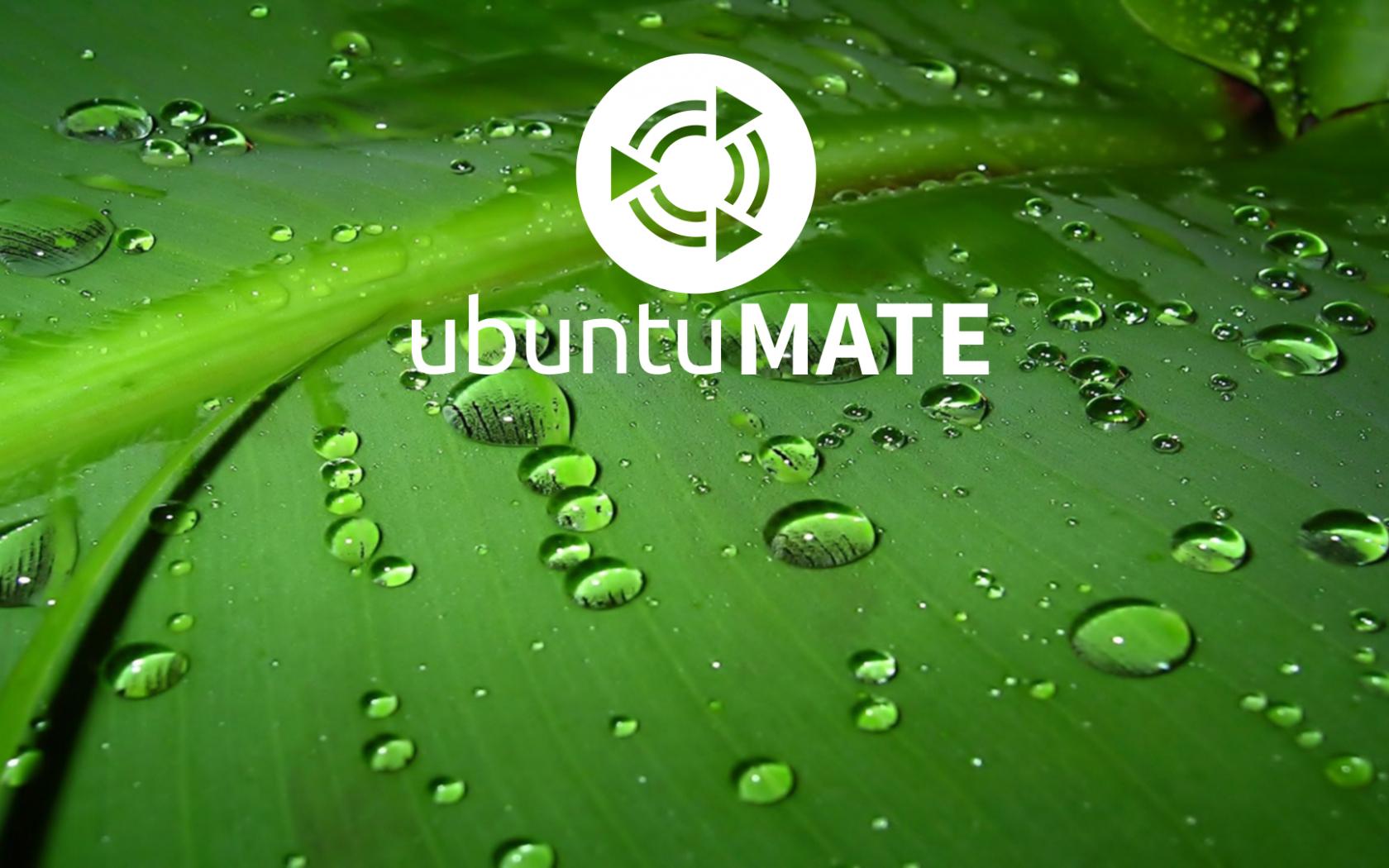 Ubuntu Mate Wallpapers - Top Free Ubuntu Mate Backgrounds - WallpaperAccess
