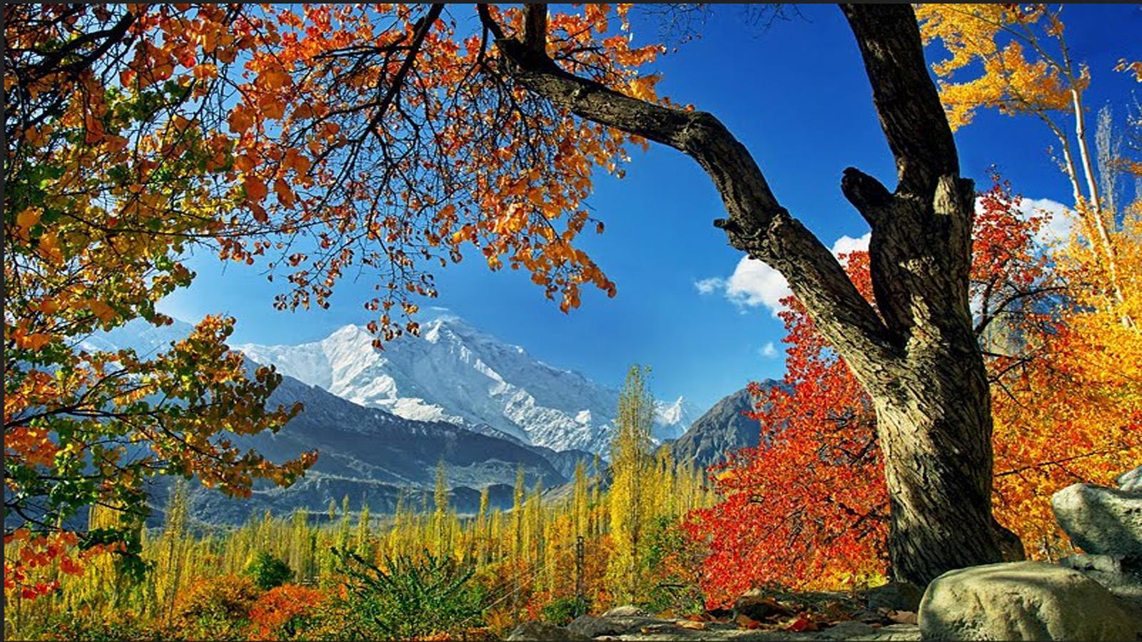 Hunza Valley Wallpapers - Top Free Hunza Valley Backgrounds ...