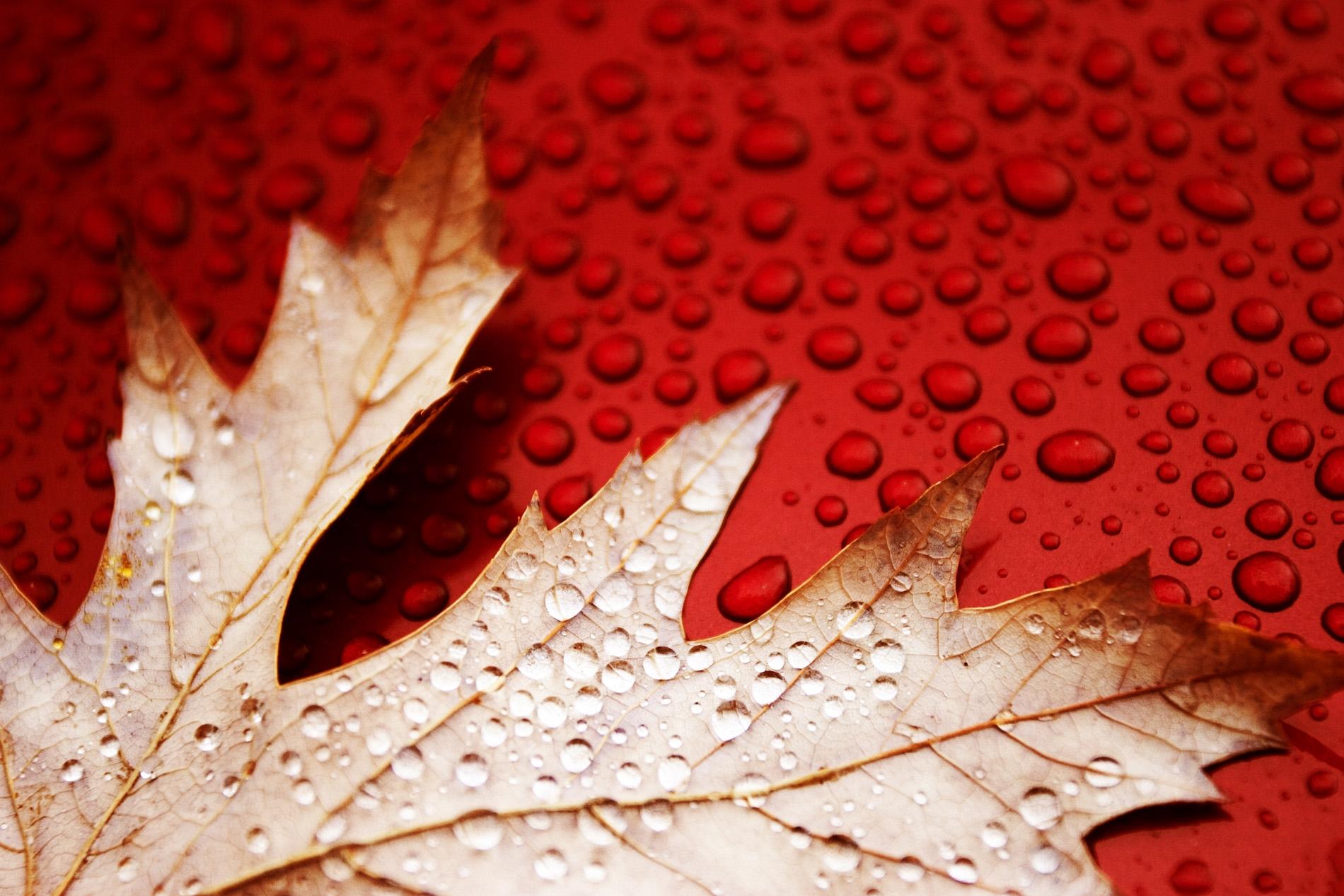 Condensation Wallpapers - Top Free Condensation Backgrounds ...