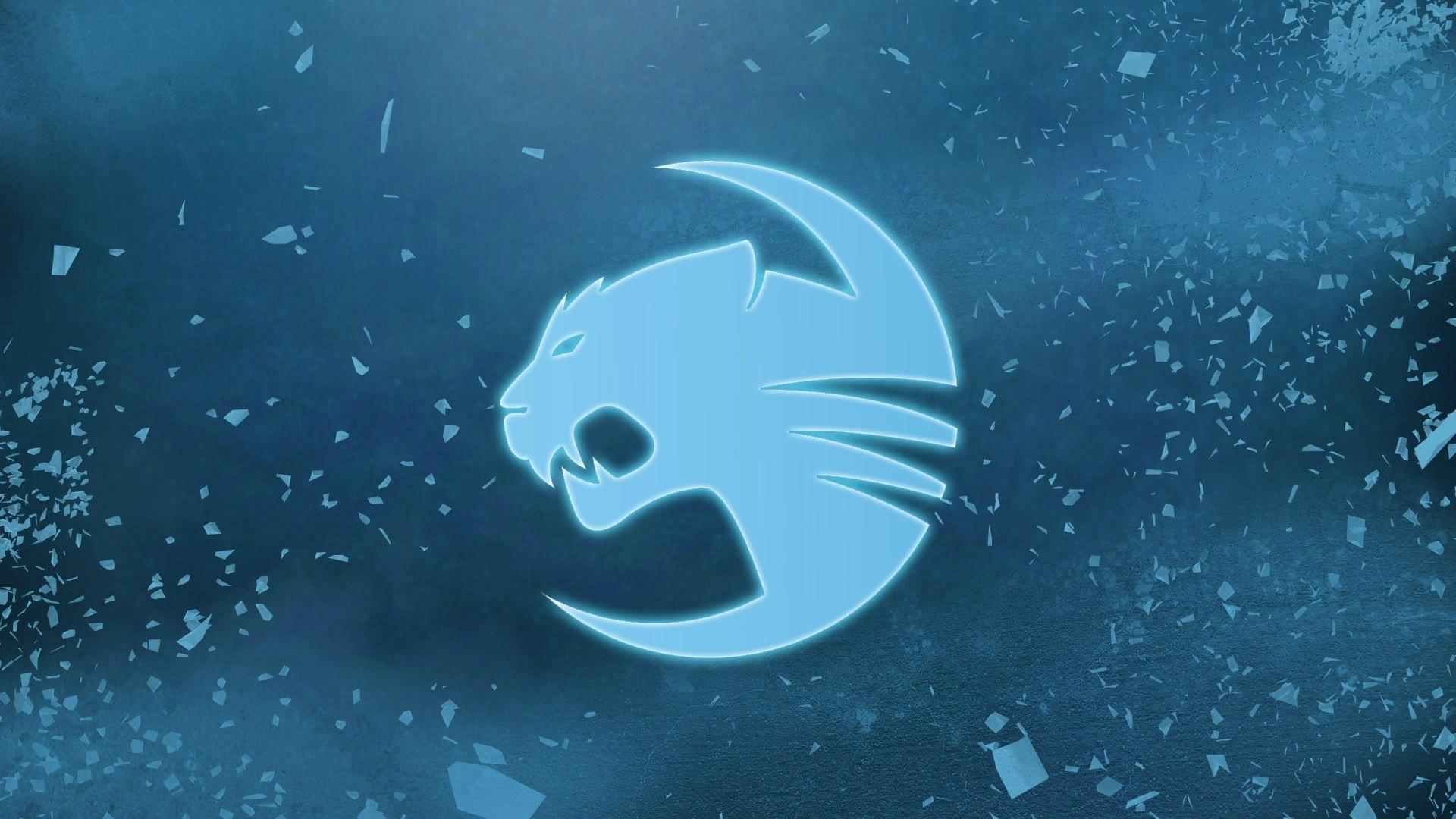 Roccat Wallpapers - Top Free Roccat Backgrounds - WallpaperAccess