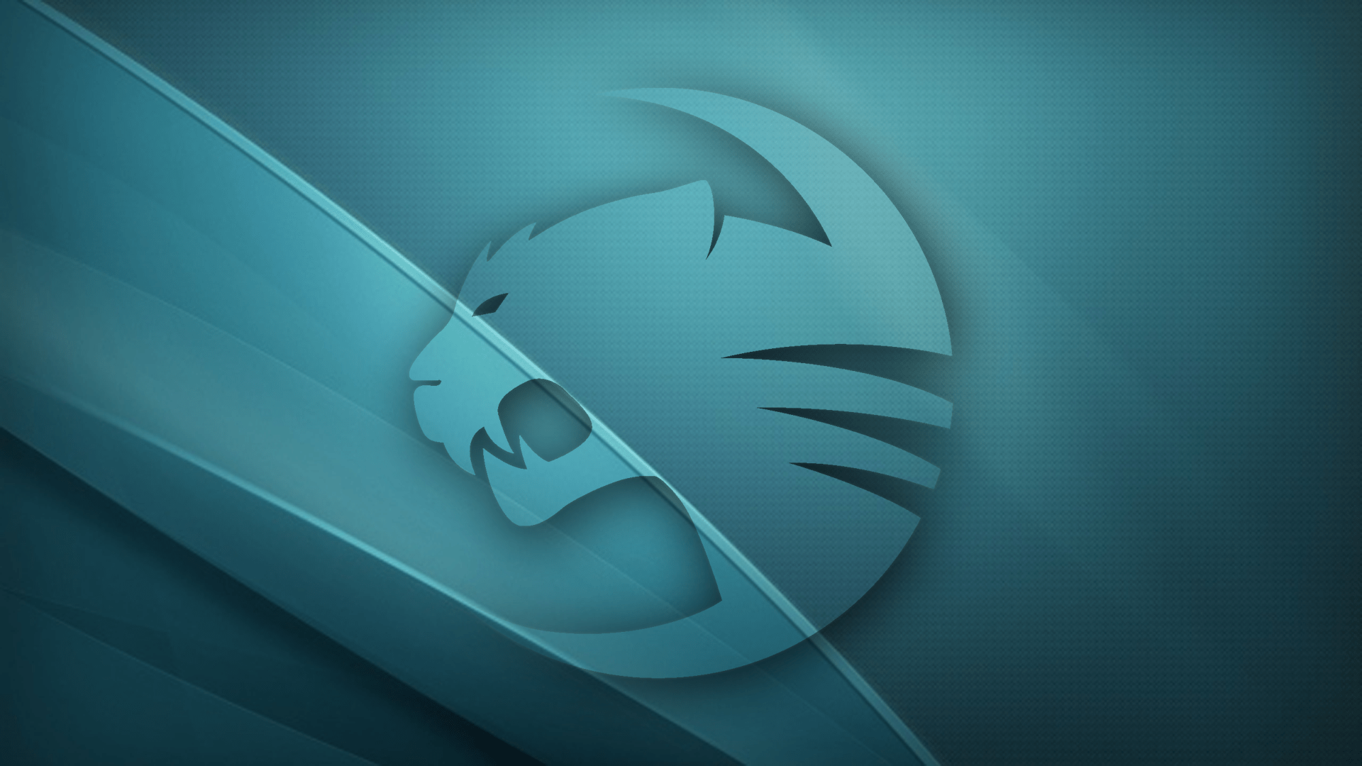 Roccat Wallpapers - Top Free Roccat Backgrounds - WallpaperAccess