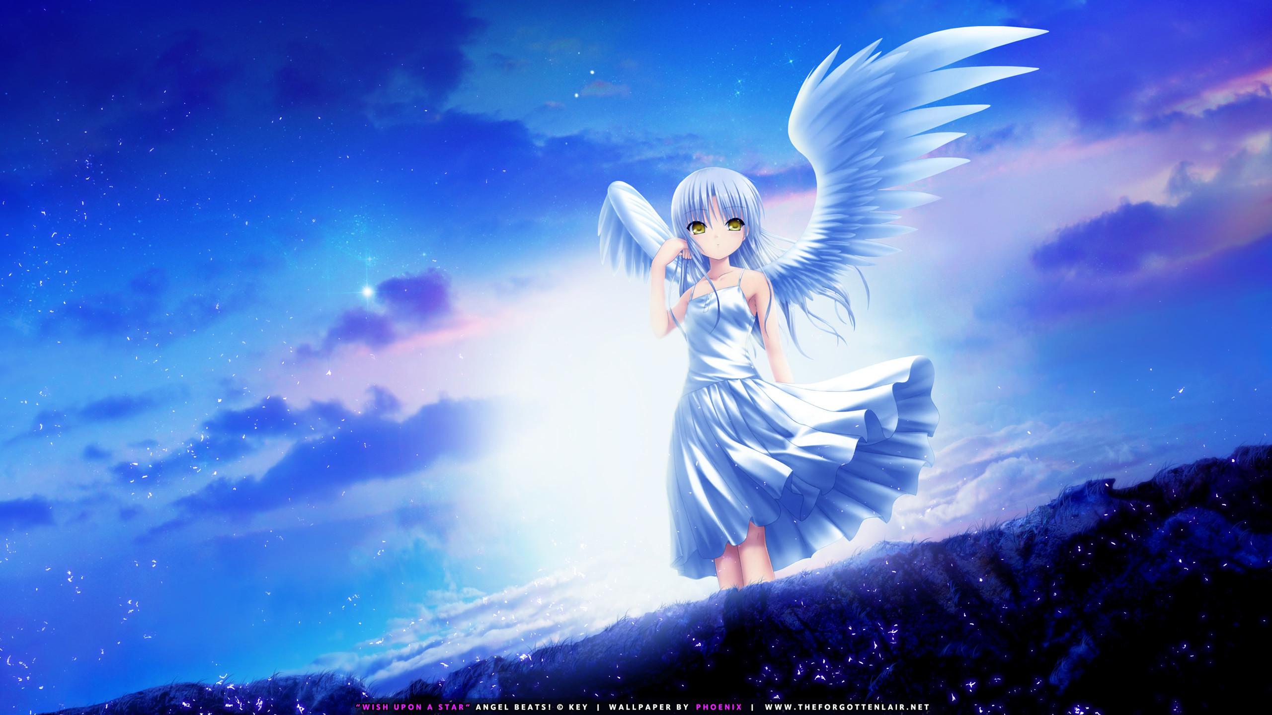 Anime Phoenix Girl Wallpapers - Top Free Anime Phoenix Girl Backgrounds ...