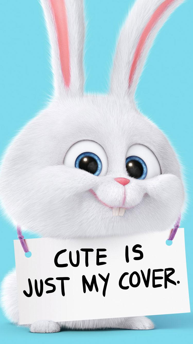 Amazing Cute Wallpapers - Top Free Amazing Cute Backgrounds ...