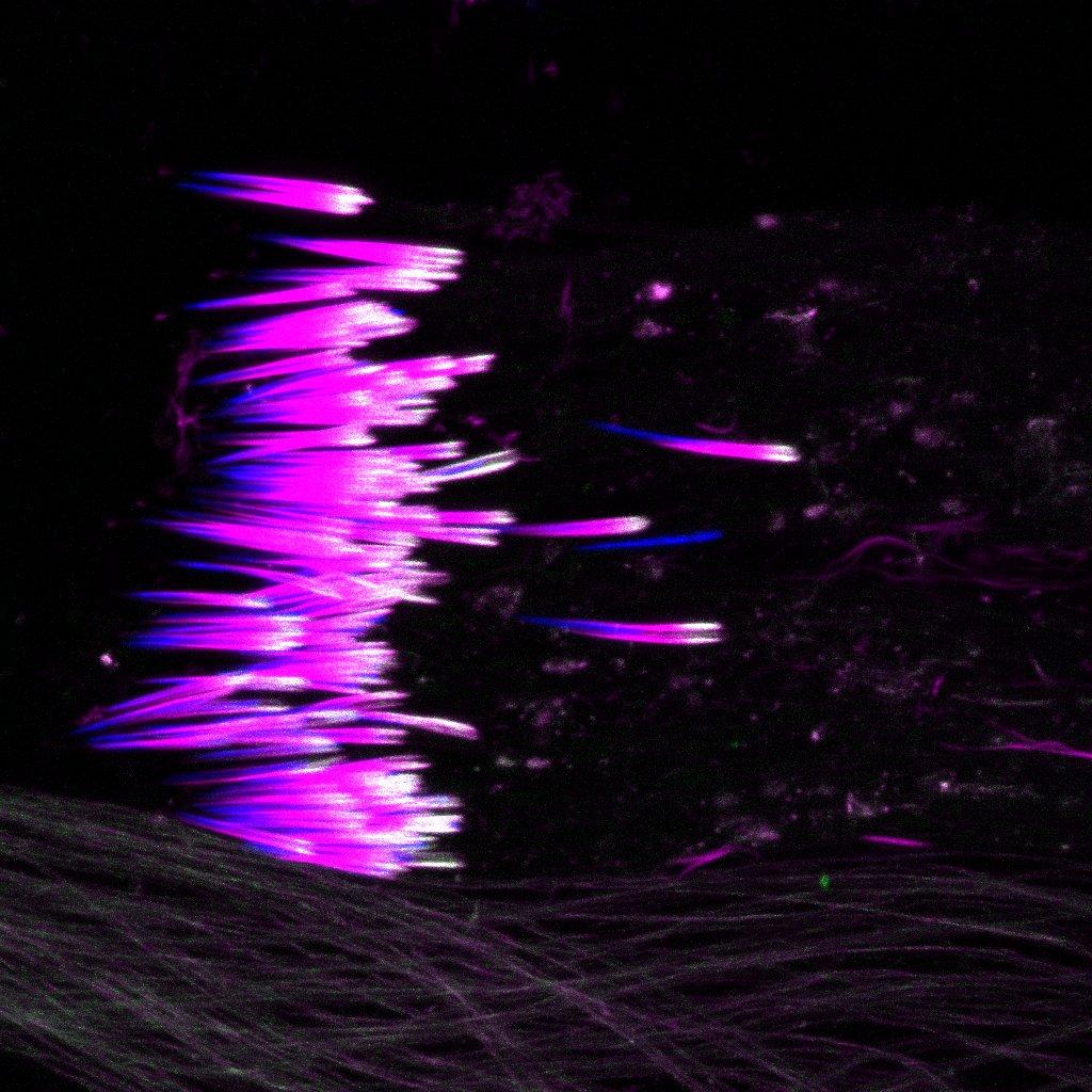 Basic Science Wallpapers - Top Free Basic Science Backgrounds ...