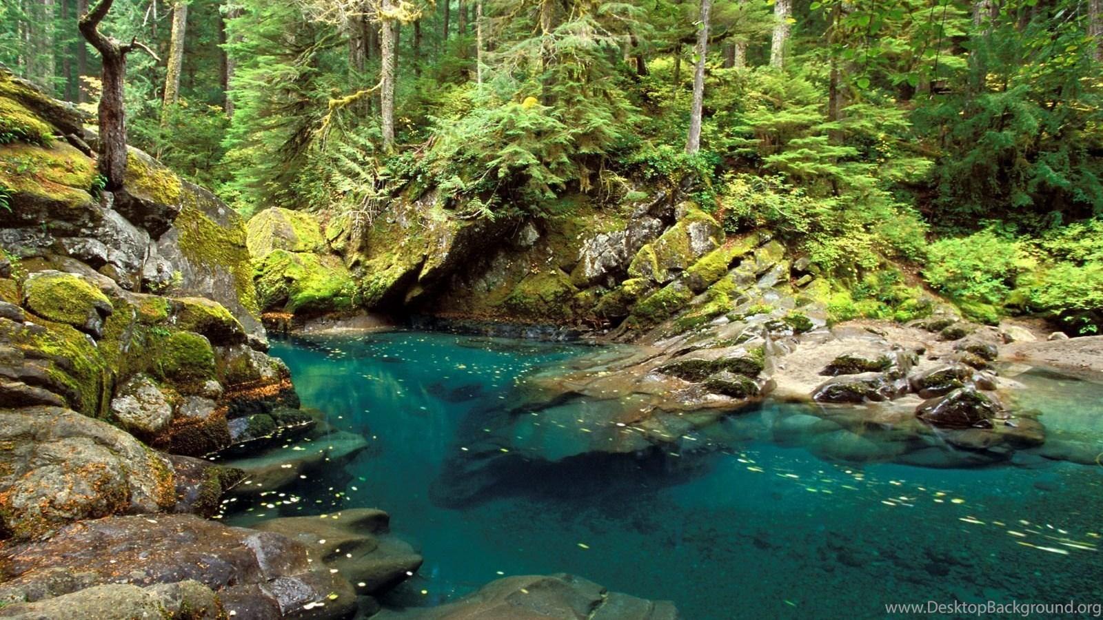 HD River Wallpapers - Top Free HD River Backgrounds - WallpaperAccess