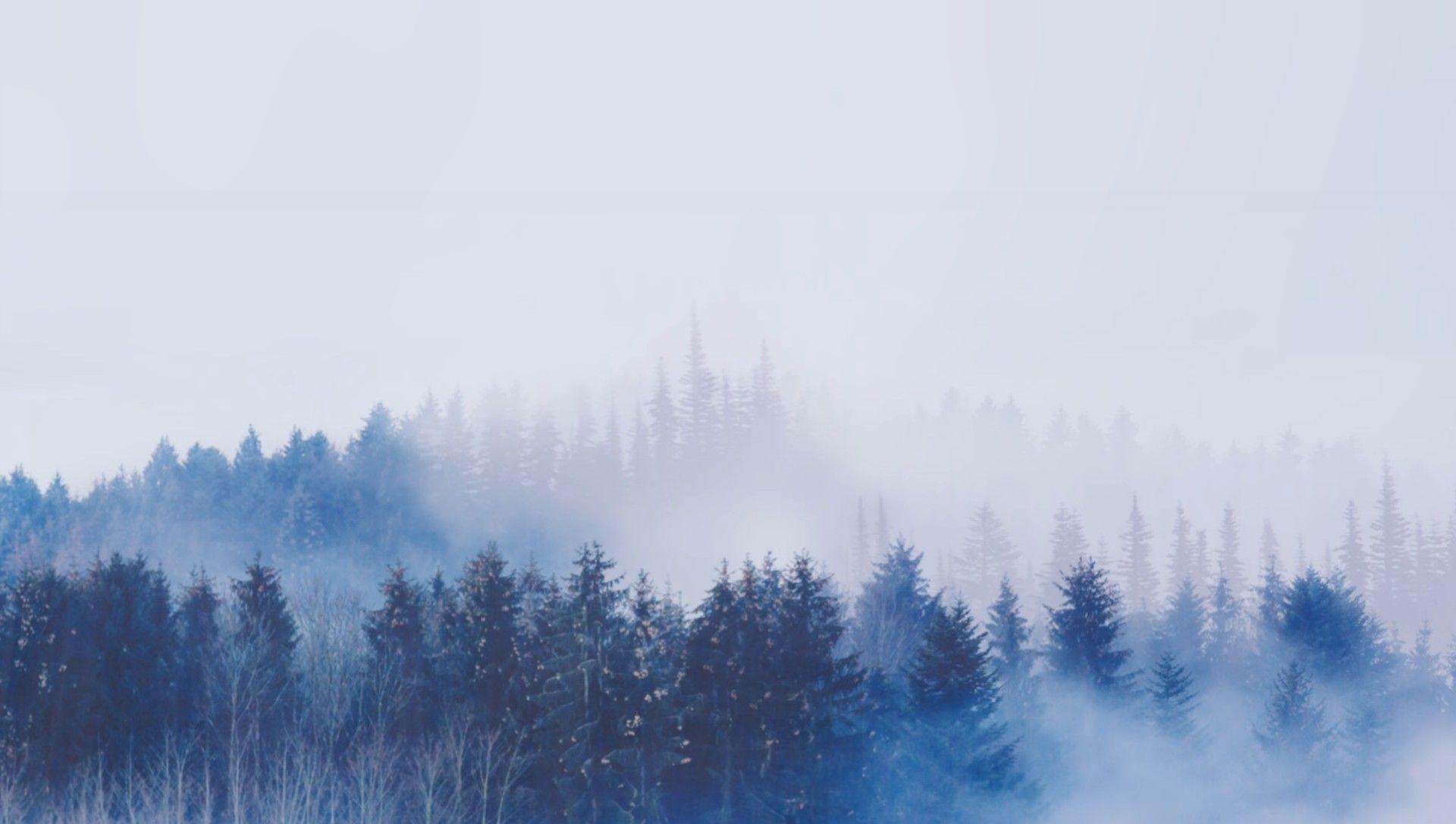 Cumputer Forest Aesthetic Wallpapers - Top Free Cumputer Forest ...