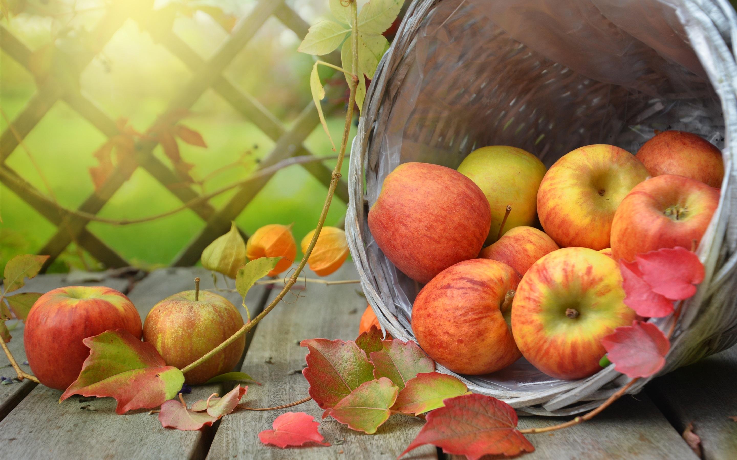 November Harvest Wallpapers - Top Free November Harvest Backgrounds ...