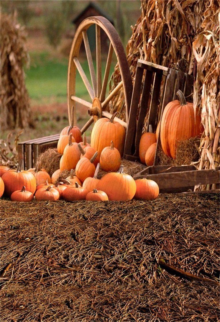November Harvest Wallpapers - Top Free November Harvest Backgrounds ...