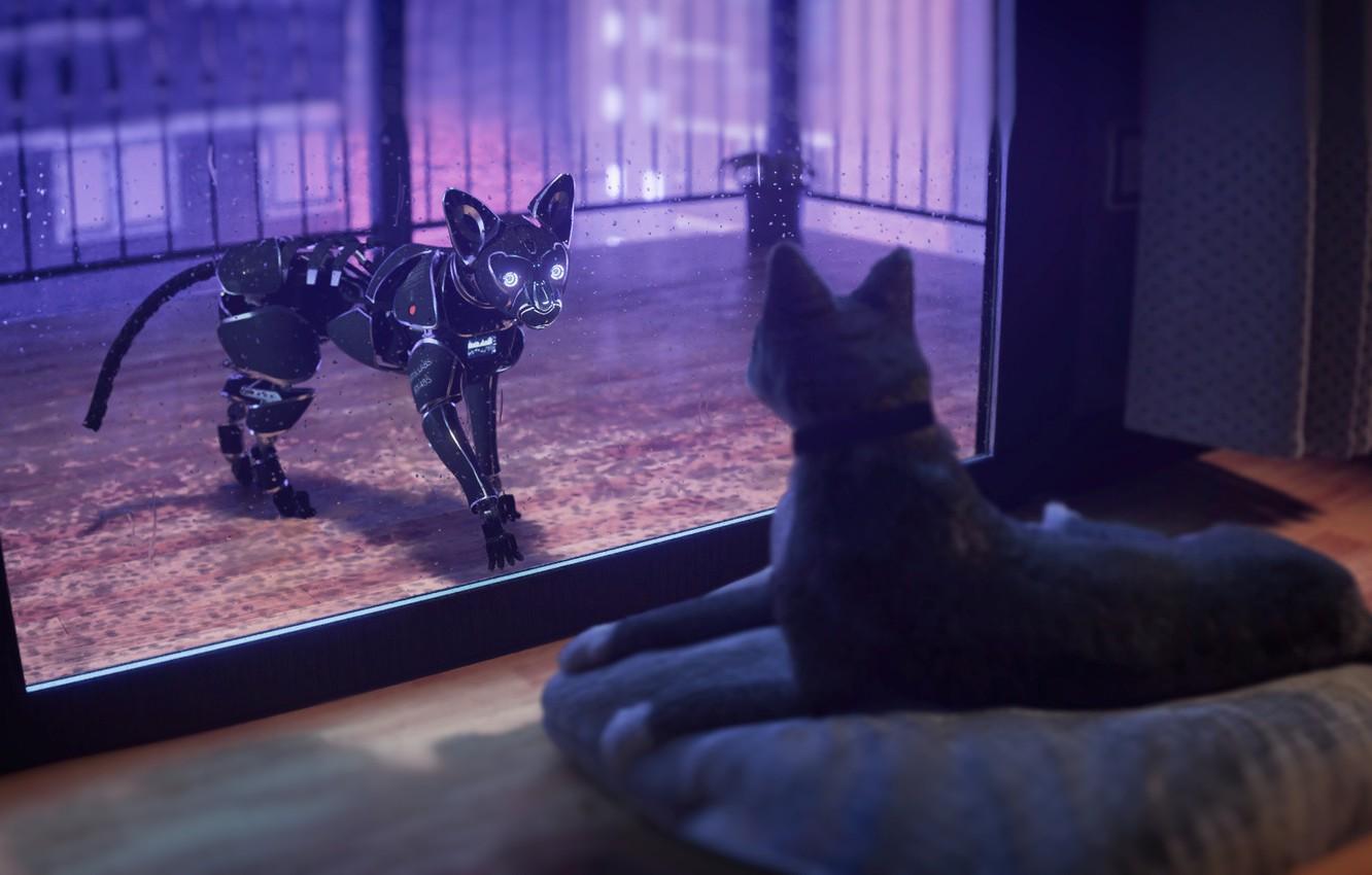 Cat Window Wallpapers - Top Free Cat Window Backgrounds - WallpaperAccess