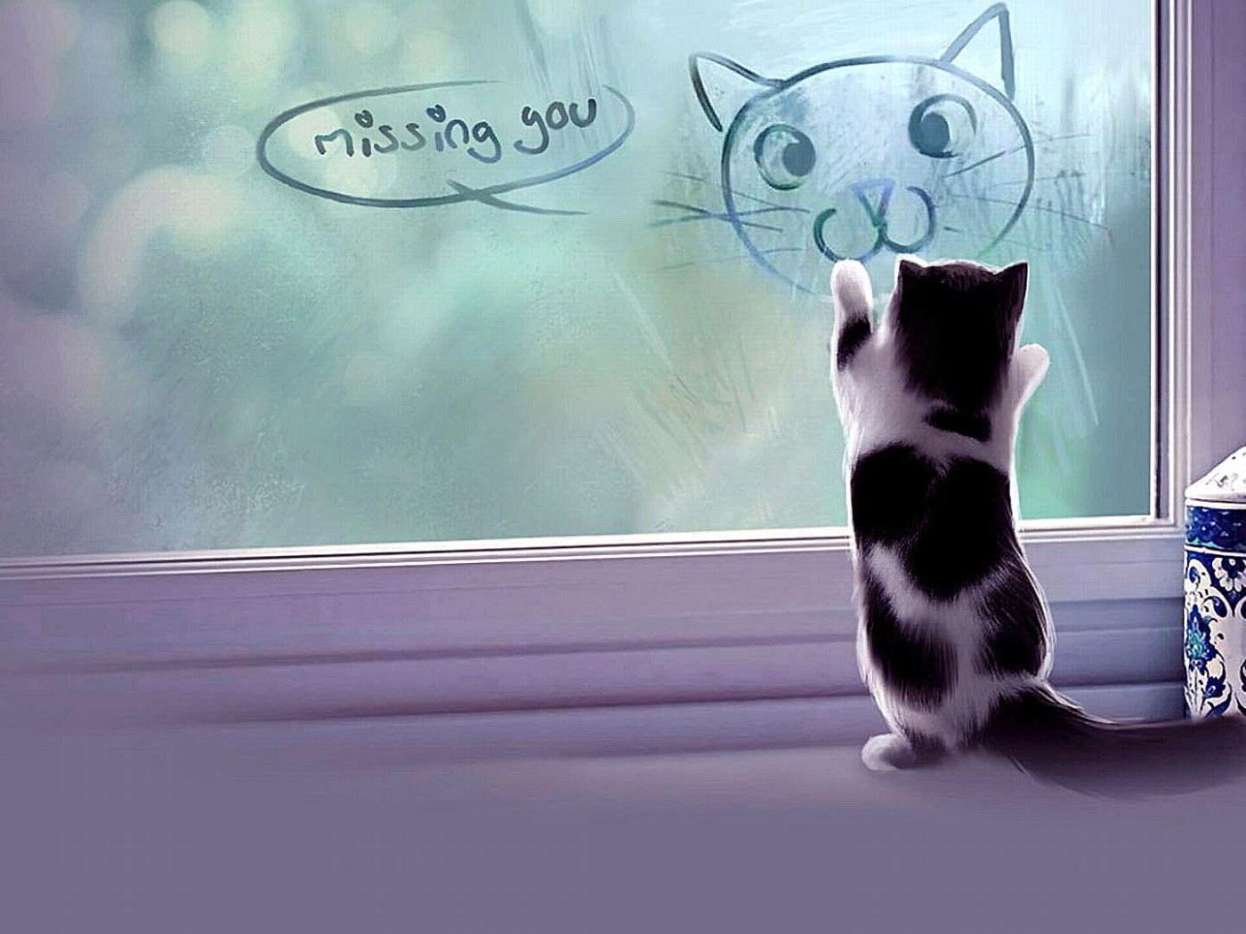 Cat Window Wallpapers - Top Free Cat Window Backgrounds - WallpaperAccess