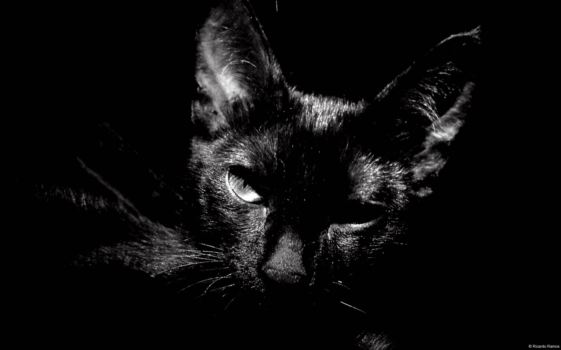 Dark Window Wallpapers - Top Free Dark Window Backgrounds - WallpaperAccess
