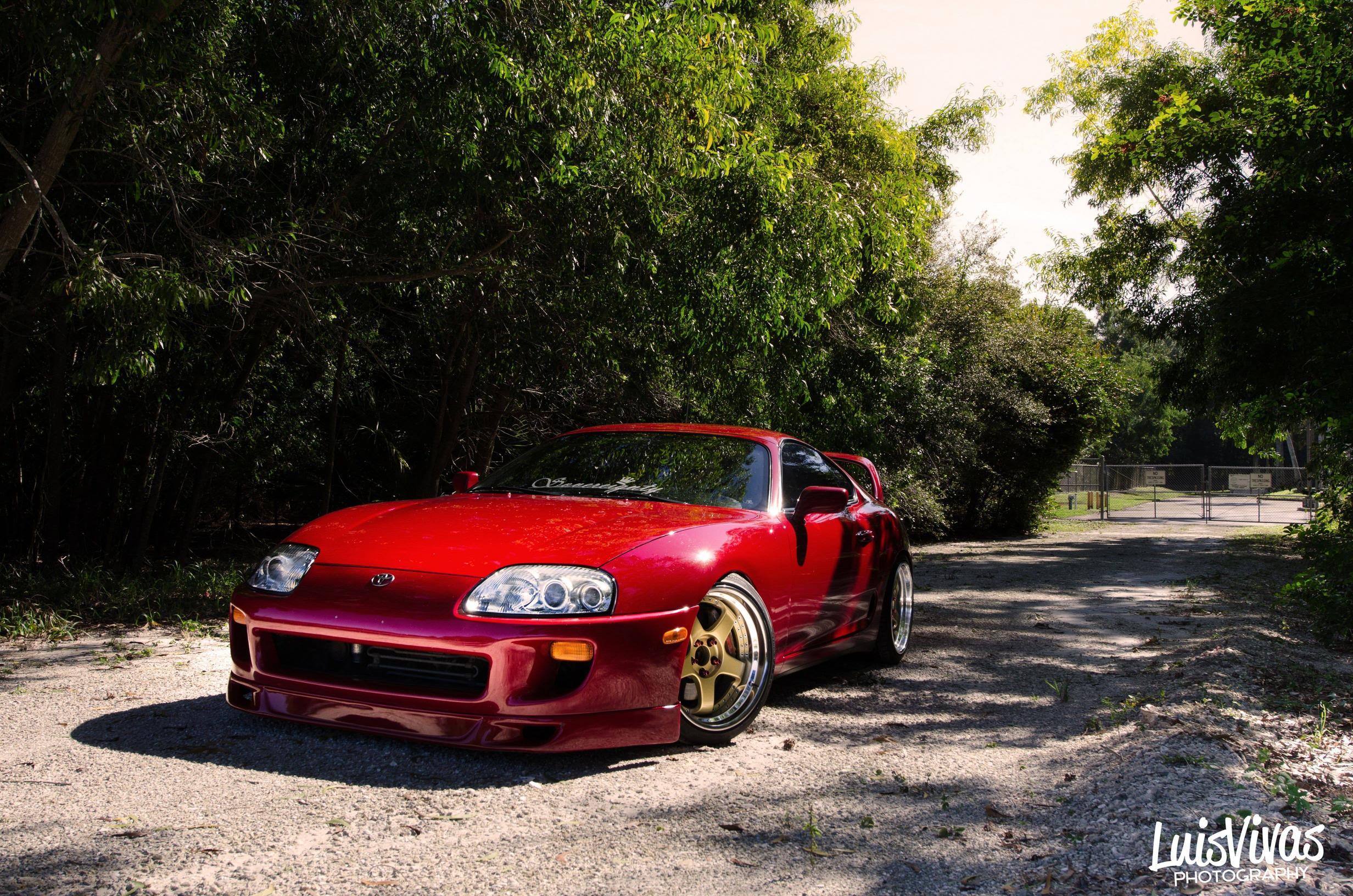 Red Supra Wallpapers - Top Free Red Supra Backgrounds - WallpaperAccess