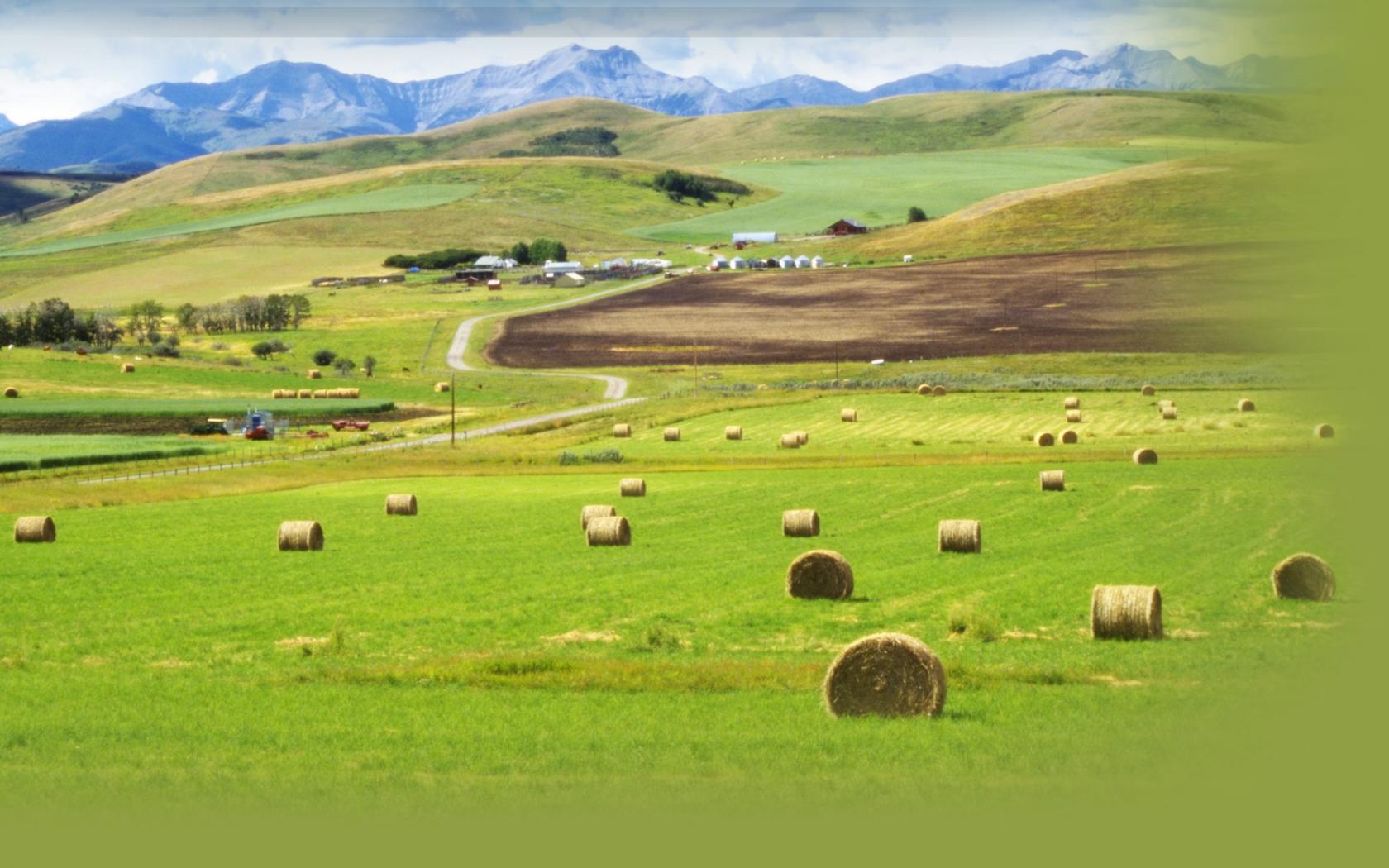 Alberta Prairie Wallpapers - Top Free Alberta Prairie Backgrounds ...