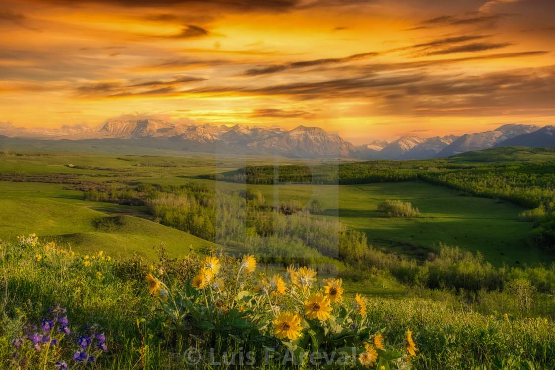 Alberta Prairie Wallpapers - Top Free Alberta Prairie Backgrounds ...