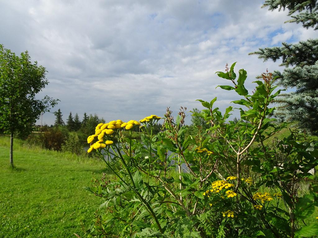 Alberta Prairie Wallpapers - Top Free Alberta Prairie Backgrounds ...