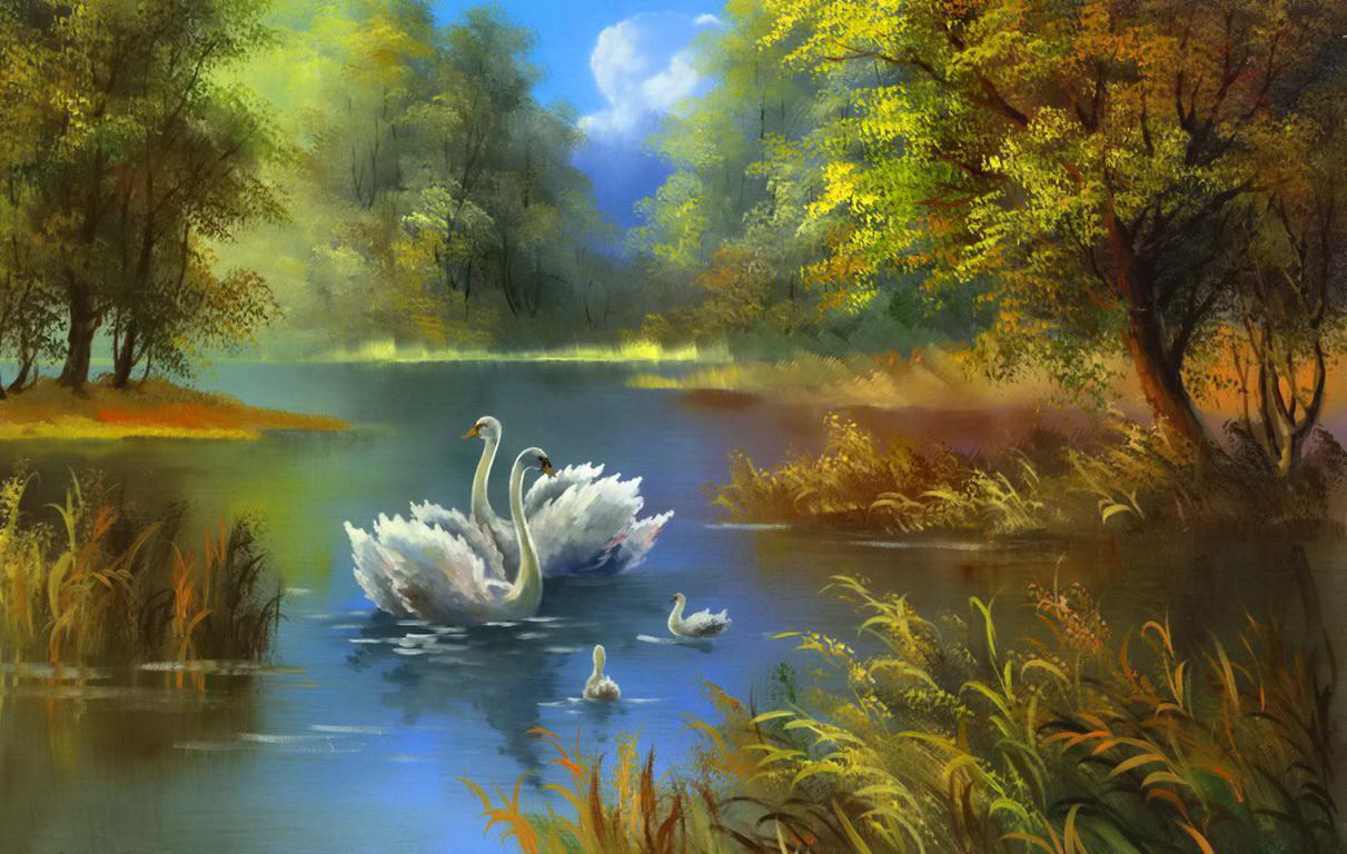 Beautiful Swan Lake Wallpapers - Top Free Beautiful Swan Lake ...