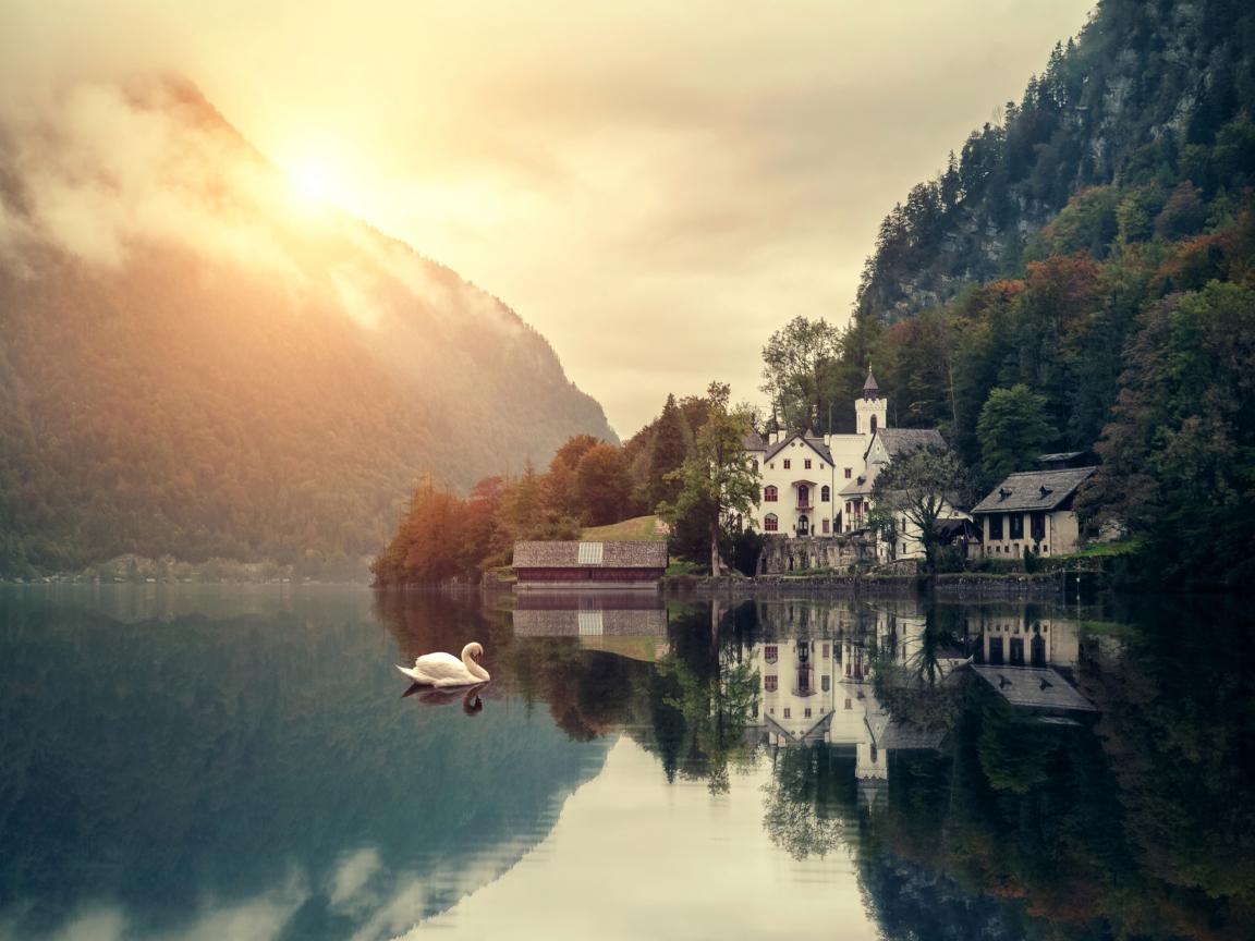 Beautiful Swan Lake Wallpapers - Top Free Beautiful Swan Lake ...