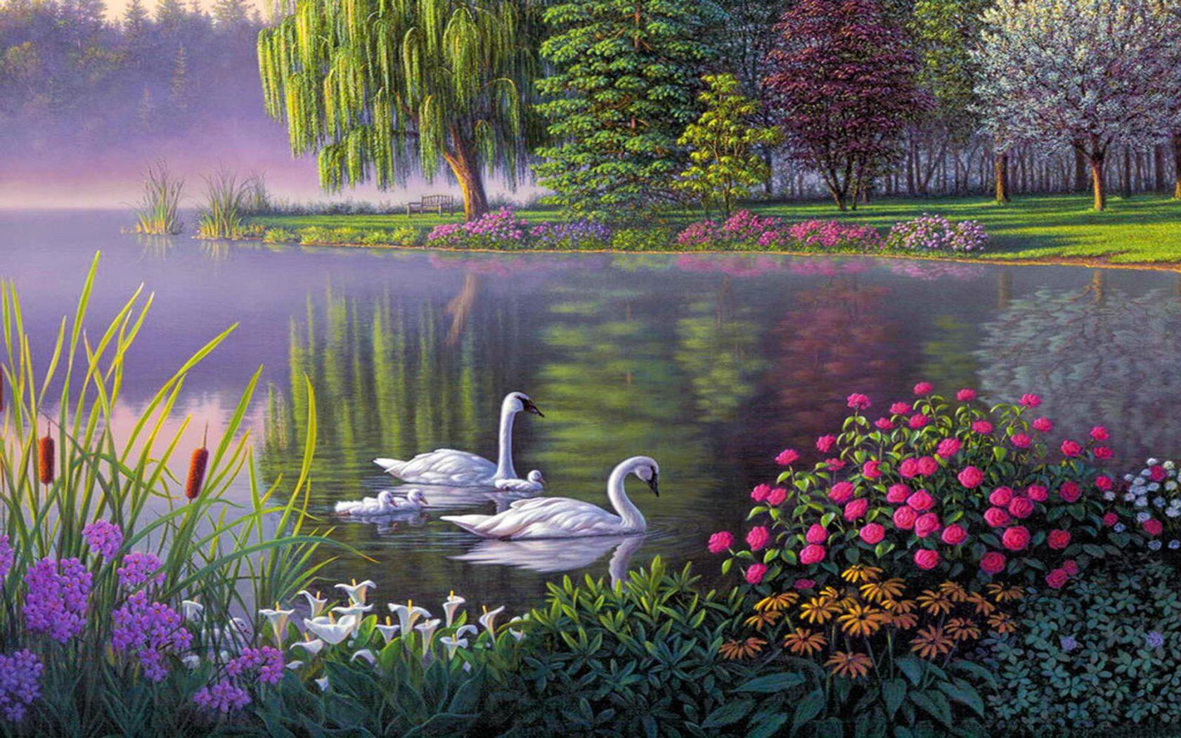 Beautiful Swan Lake Wallpapers - Top Free Beautiful Swan Lake ...