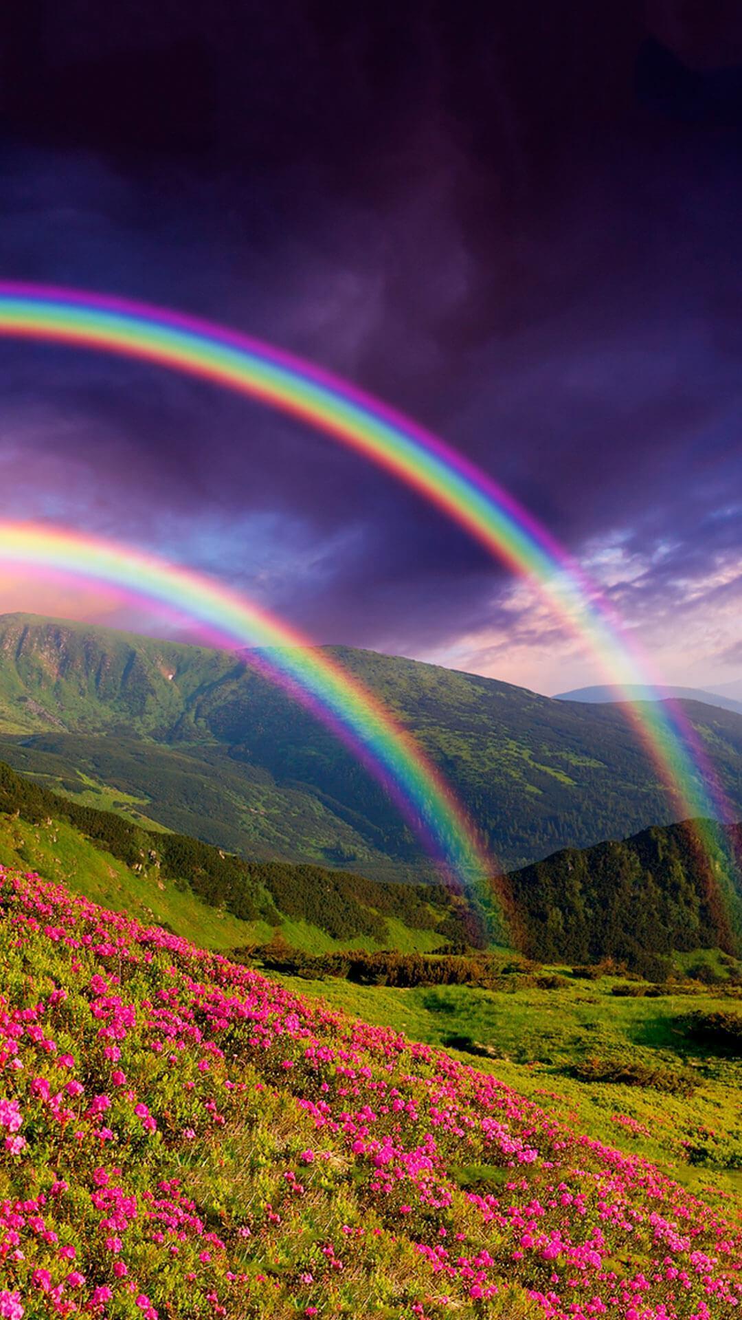 Rainbow 3D Wallpapers - Top Free Rainbow 3D Backgrounds - WallpaperAccess