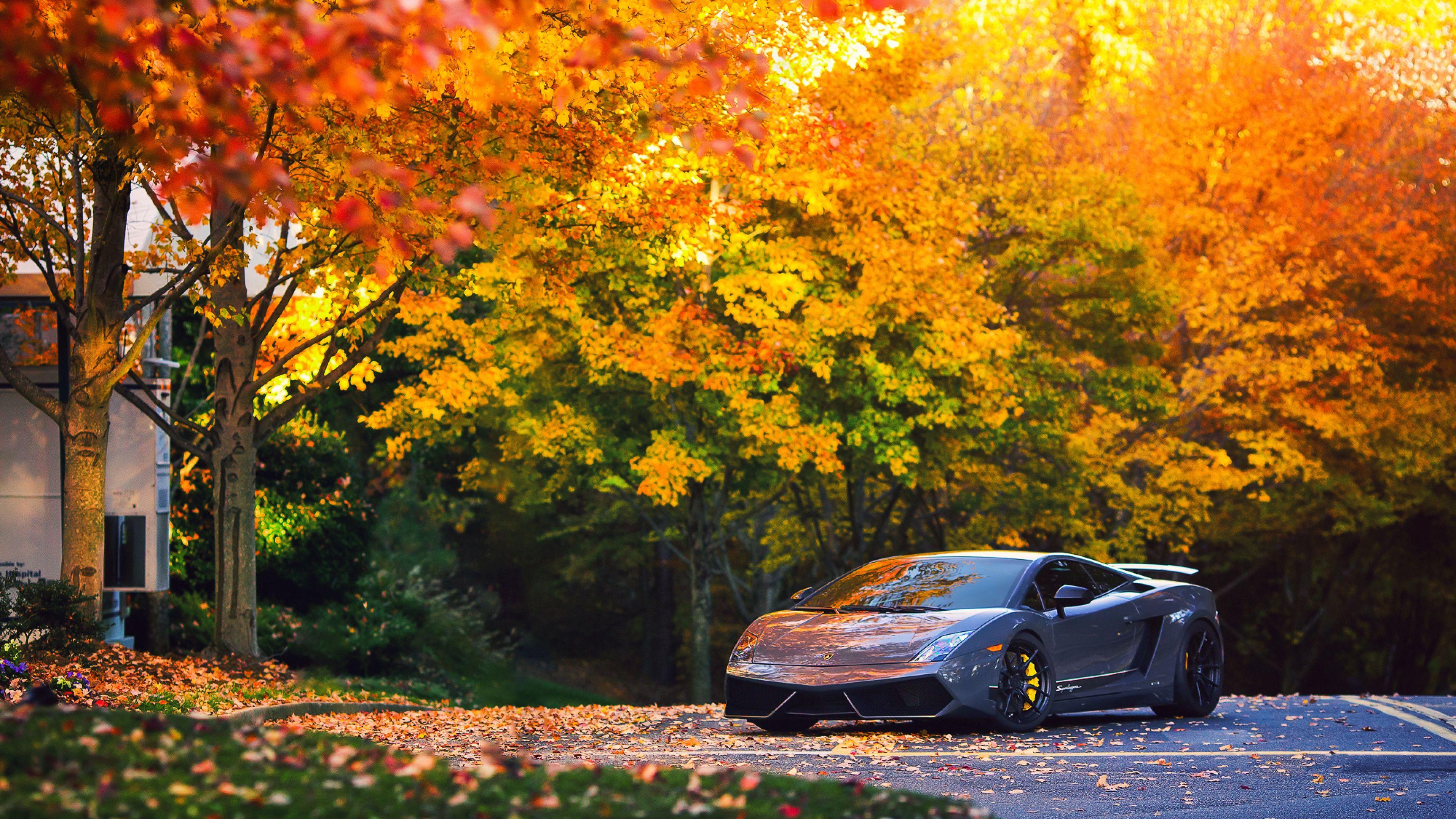 3840 X 2160 Autumn Wallpapers - Top Free 3840 X 2160 Autumn Backgrounds ...