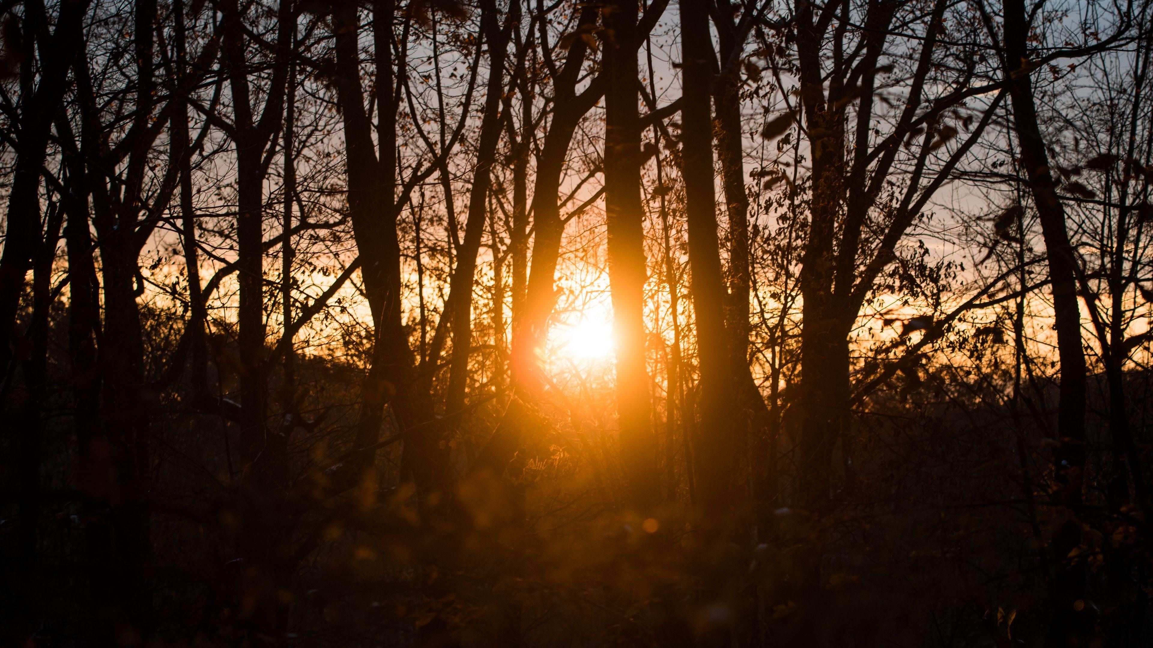 3840 X 2160 Autumn Wallpapers - Top Free 3840 X 2160 Autumn Backgrounds ...