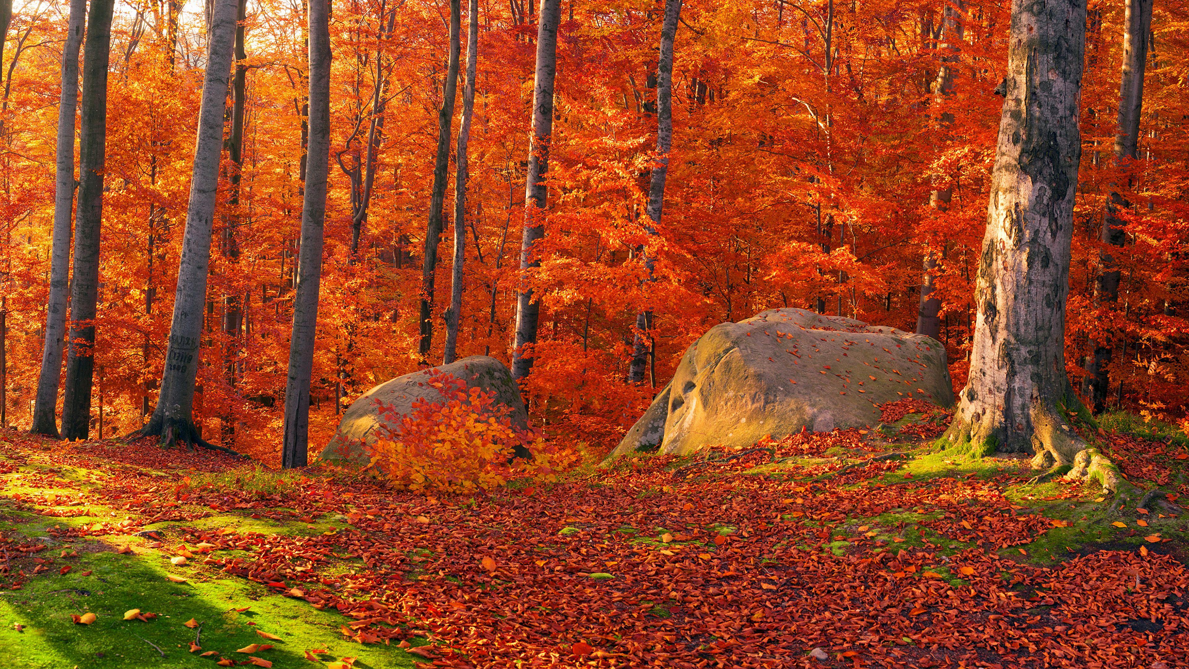 3840 X 2160 Autumn Wallpapers - Top Free 3840 X 2160 Autumn Backgrounds ...