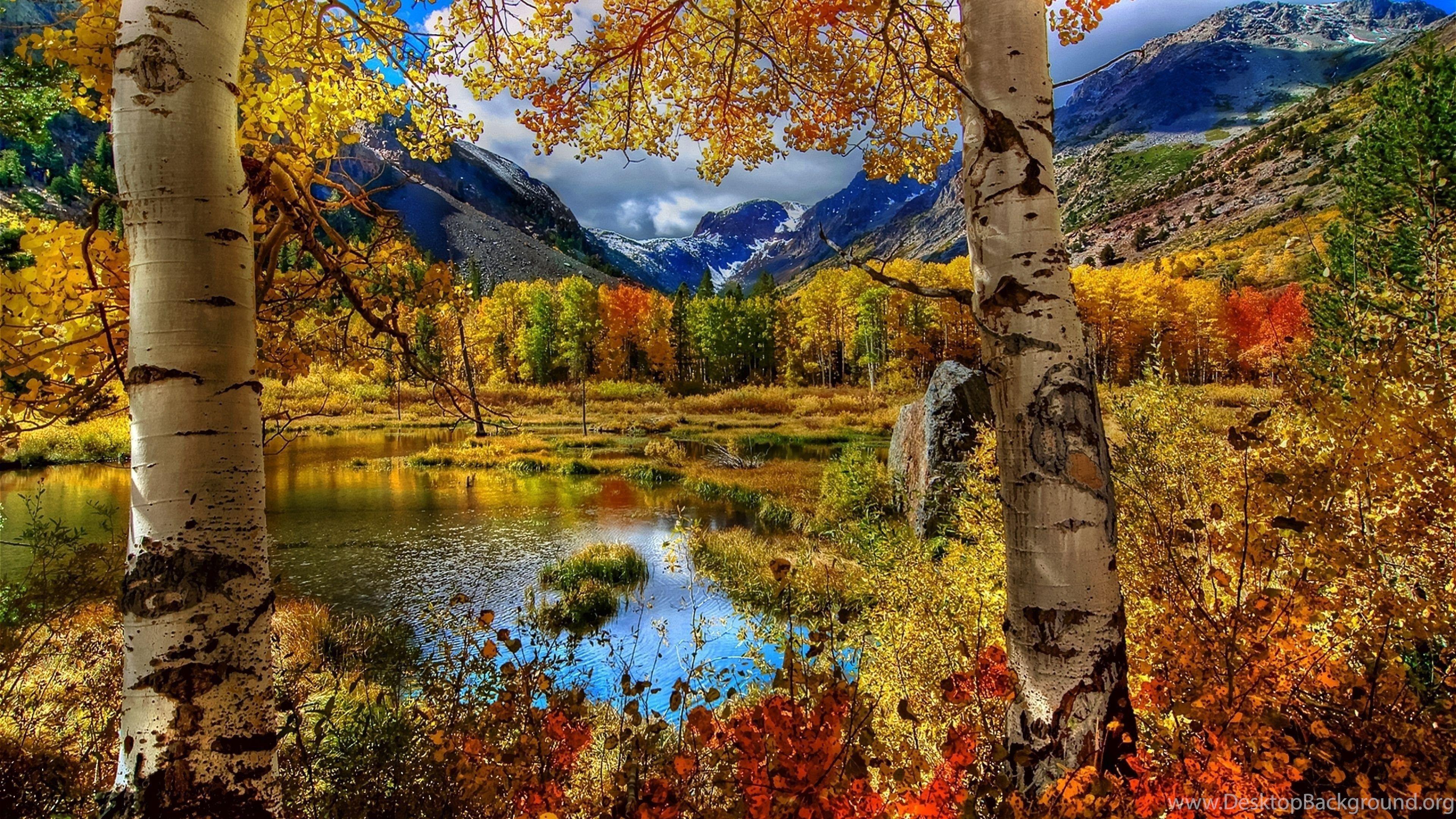 3840 X 2160 Autumn Wallpapers - Top Free 3840 X 2160 Autumn Backgrounds ...