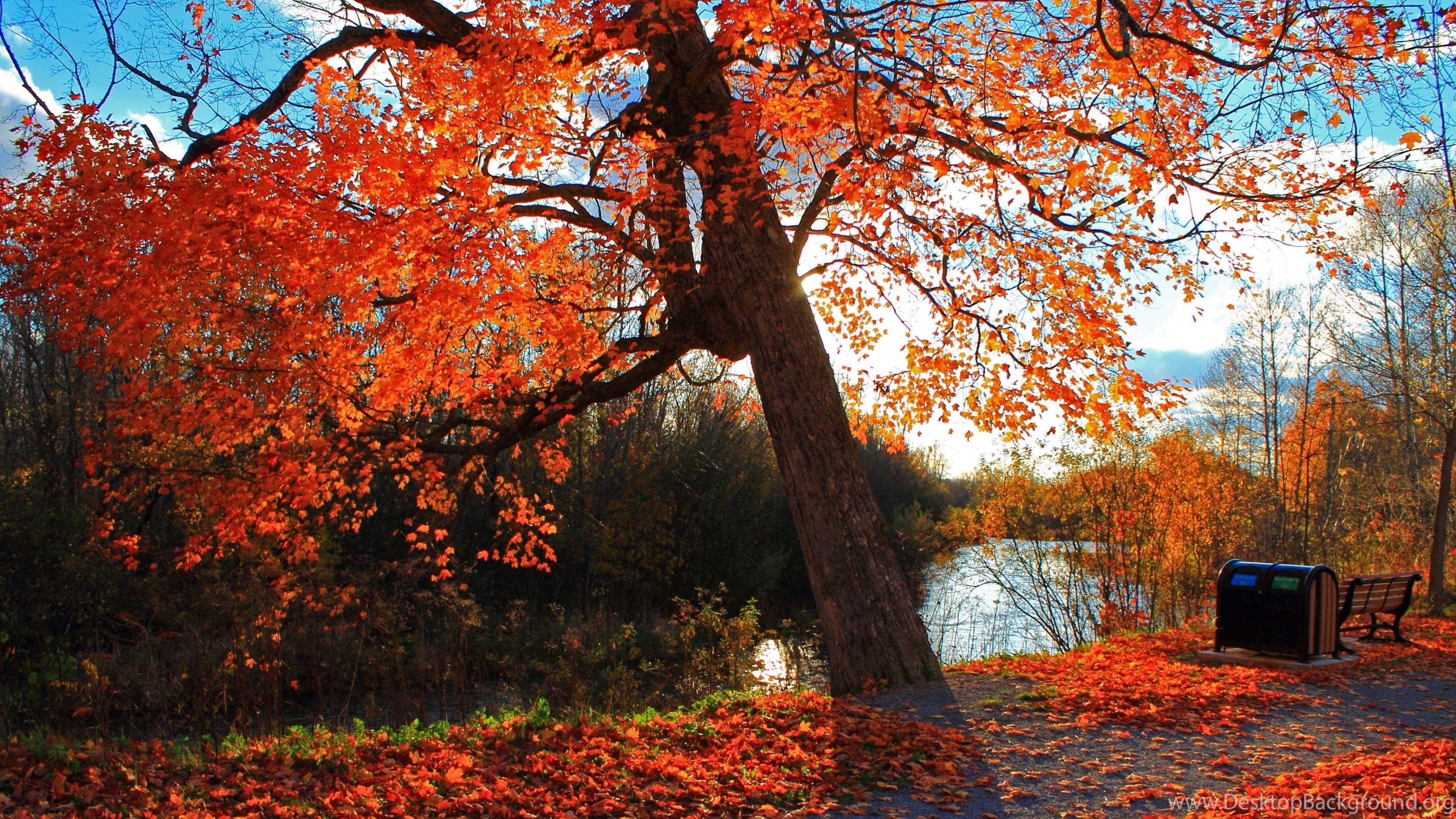 Ultra HD Autumn Wallpapers - Top Free Ultra HD Autumn Backgrounds ...