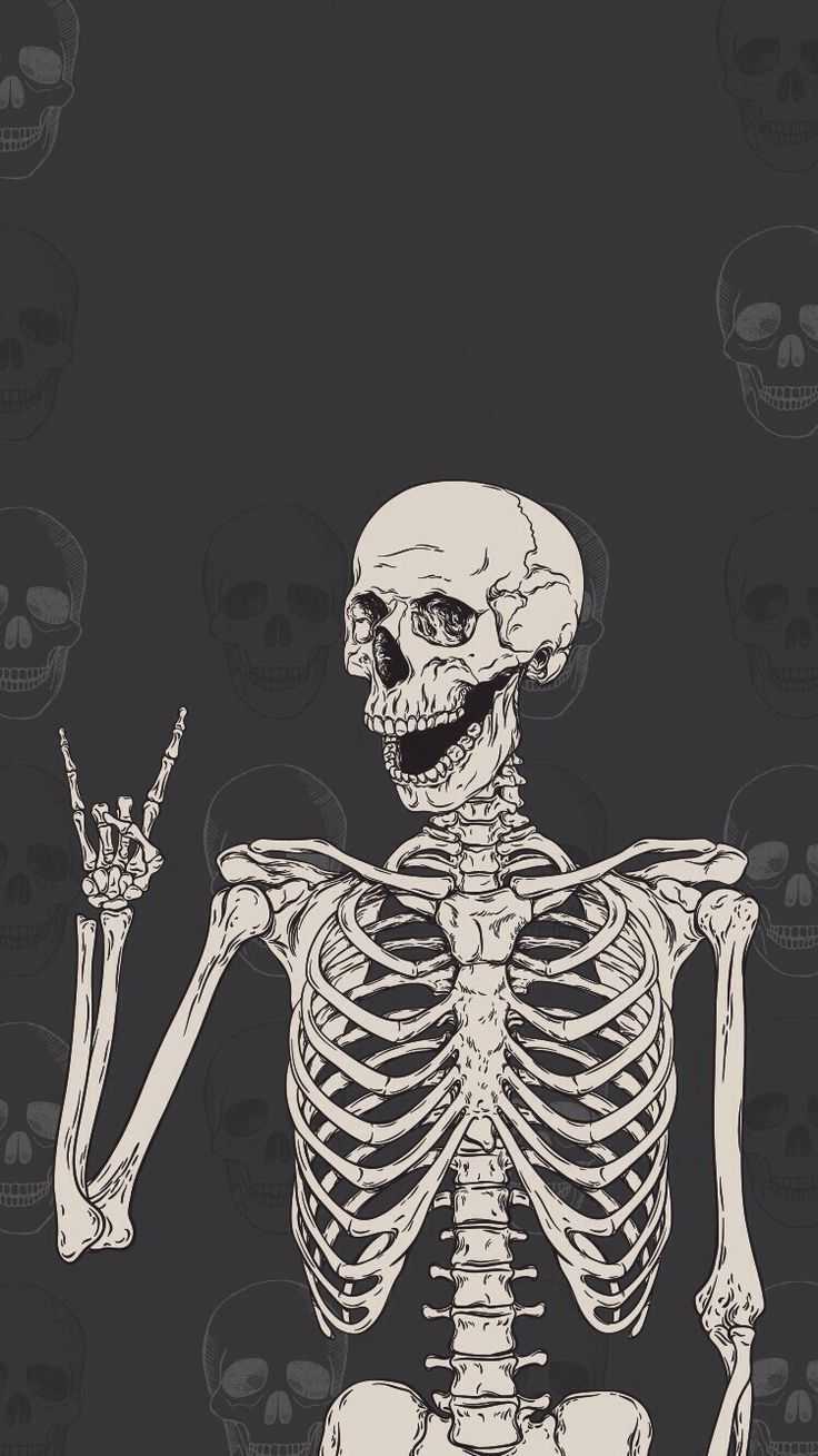Human Skeleton Wallpapers - Top Free Human Skeleton Backgrounds ...