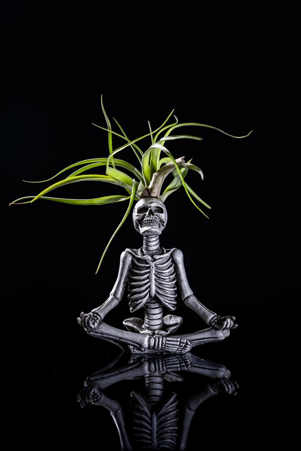 Human Skeleton Wallpapers - Top Free Human Skeleton Backgrounds ...