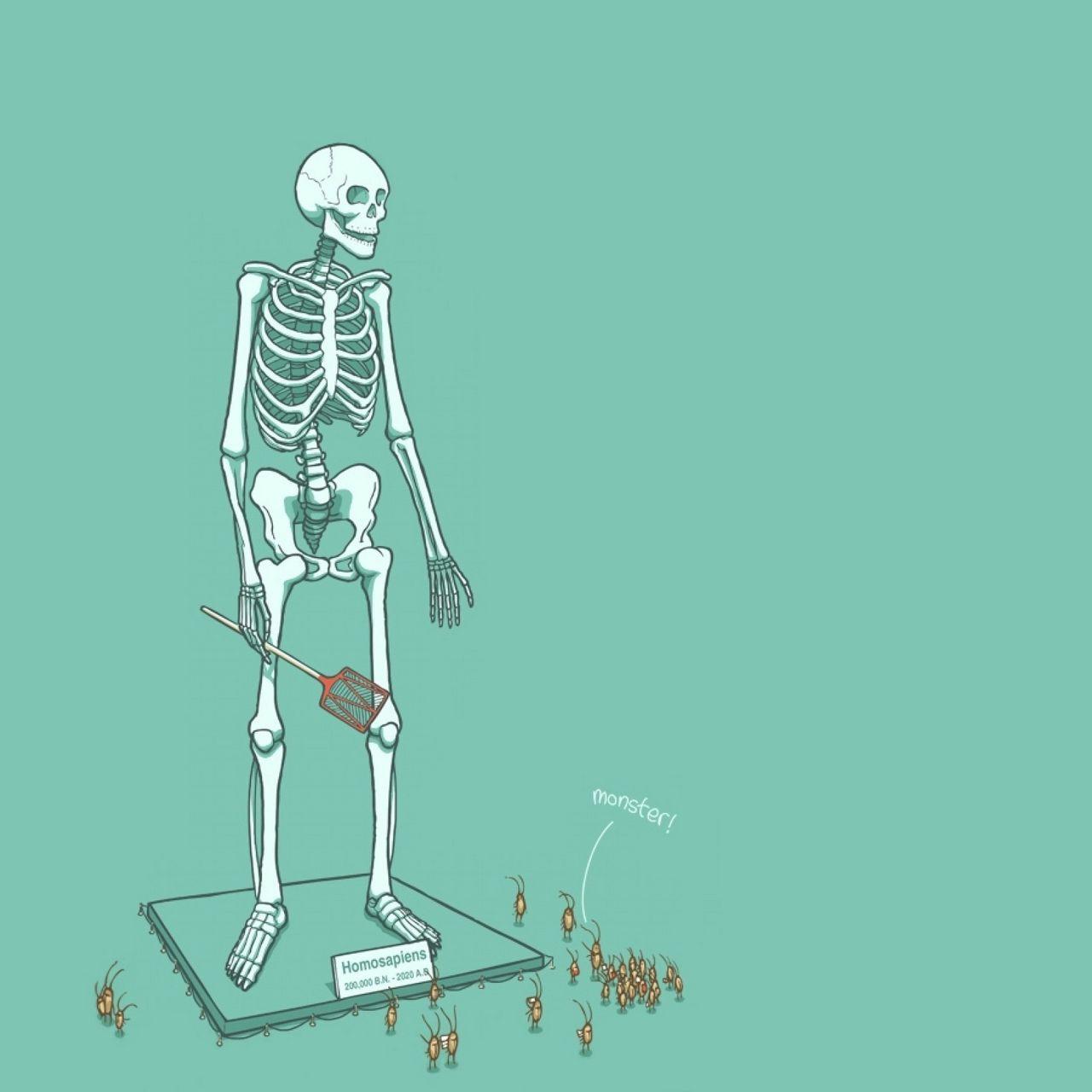 Human Skeleton Wallpapers - Top Free Human Skeleton Backgrounds ...