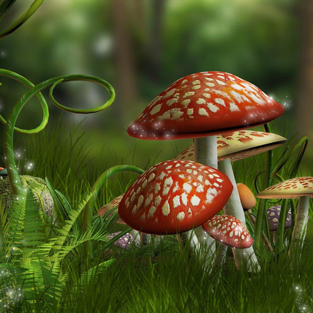 Mushroom Aesthetic Wallpapers Top Free Mushroom Aesthetic Backgrounds