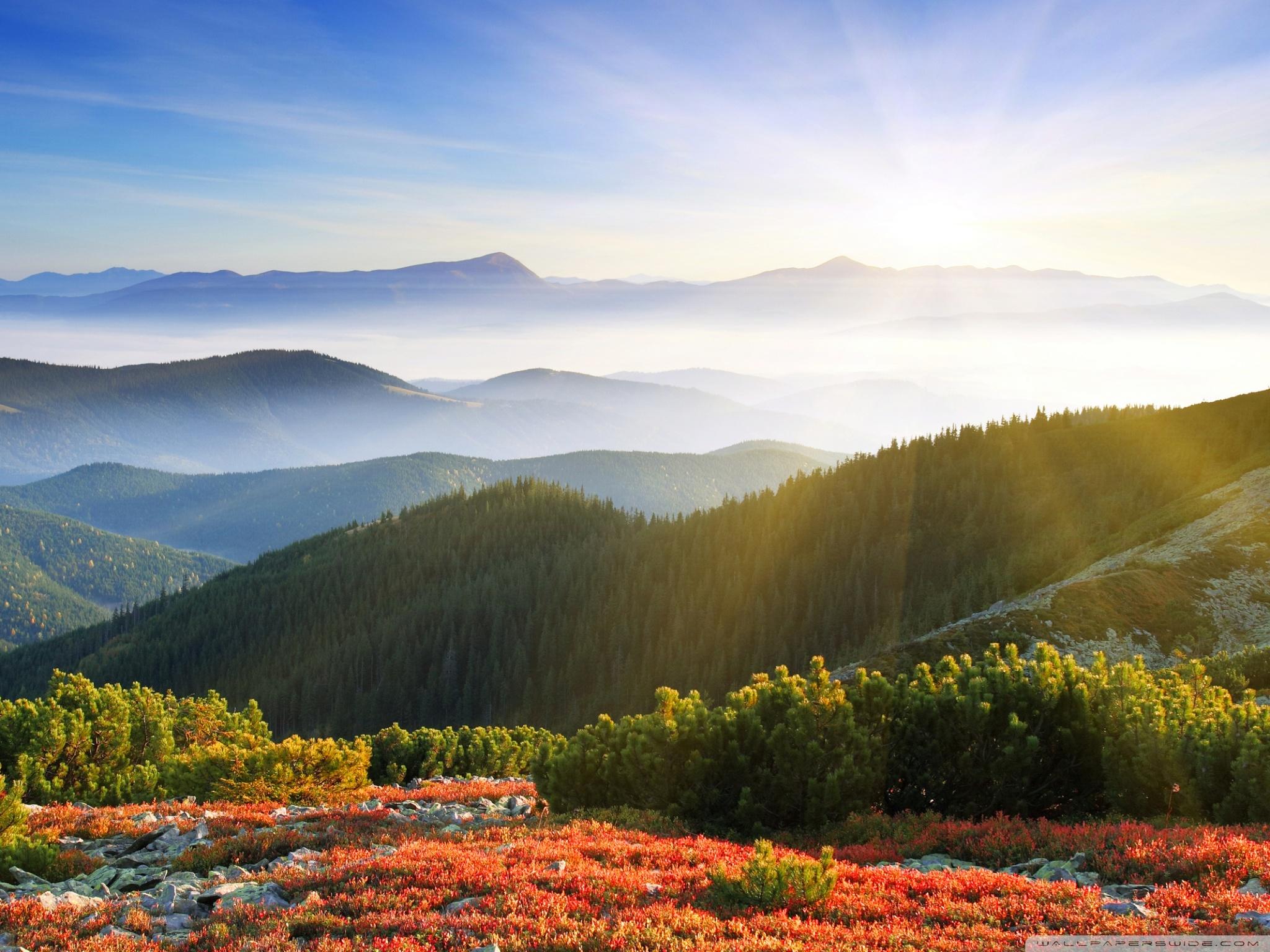 Sunshine Wallpapers - Top Free Sunshine Backgrounds - WallpaperAccess