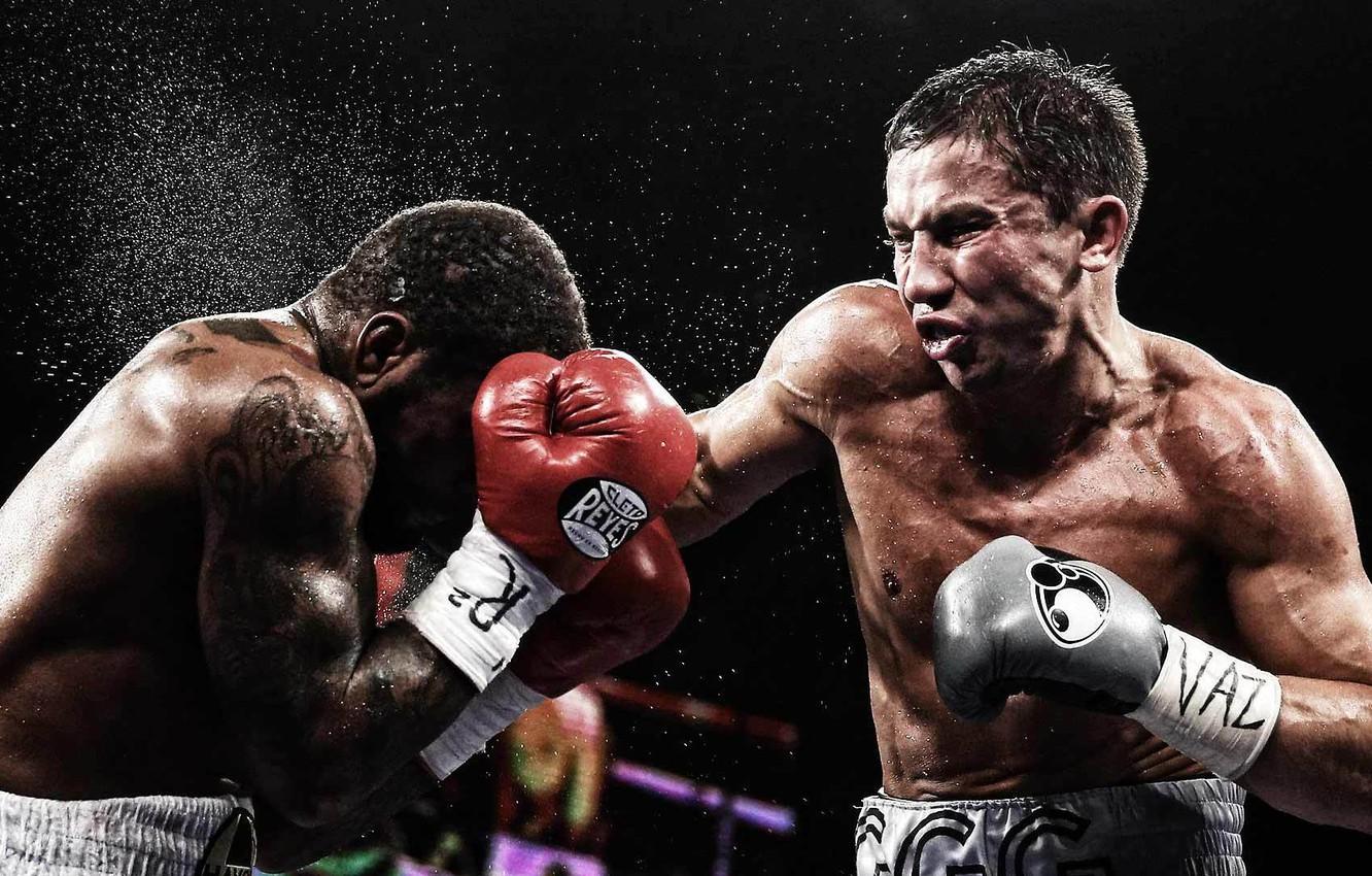 Gennady Golovkin Wallpapers - Top Free Gennady Golovkin Backgrounds ...