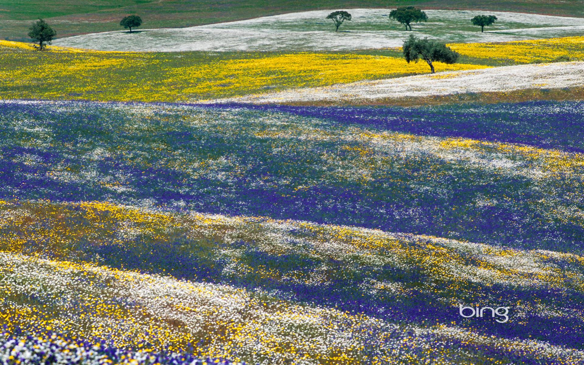 Alentejo Wallpapers - Top Free Alentejo Backgrounds - WallpaperAccess