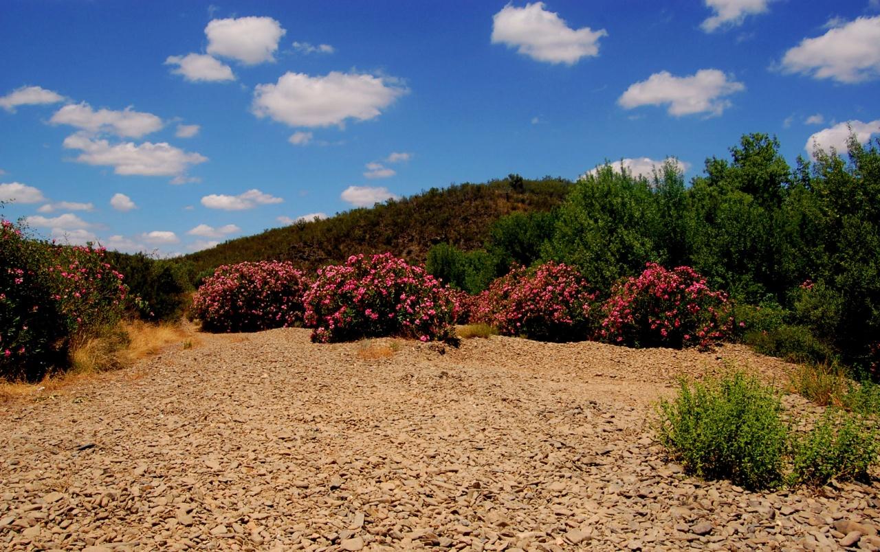 Alentejo Wallpapers - Top Free Alentejo Backgrounds - WallpaperAccess