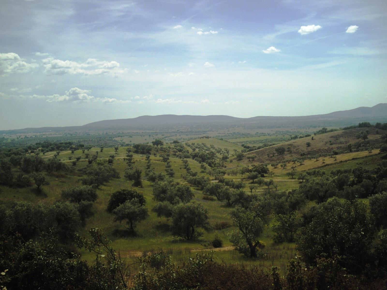 Alentejo Wallpapers - Top Free Alentejo Backgrounds - WallpaperAccess