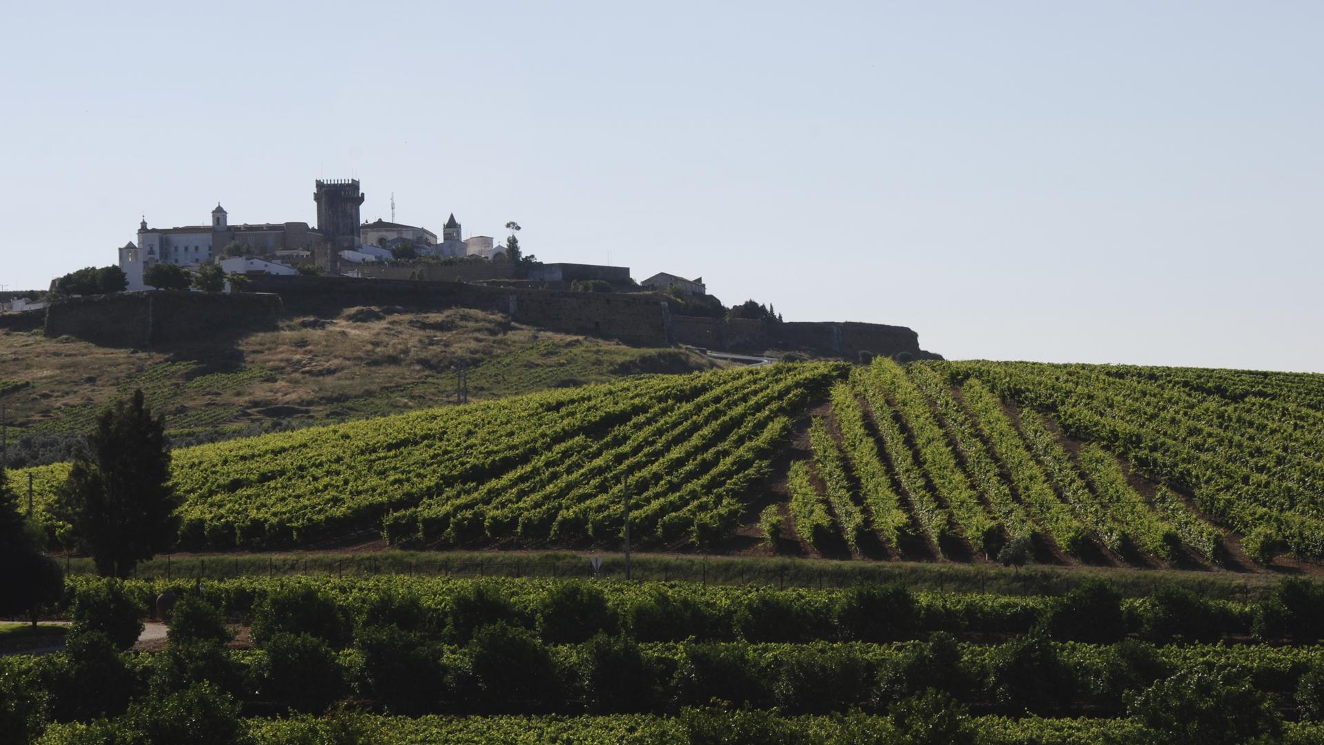 Alentejo Wallpapers - Top Free Alentejo Backgrounds - WallpaperAccess