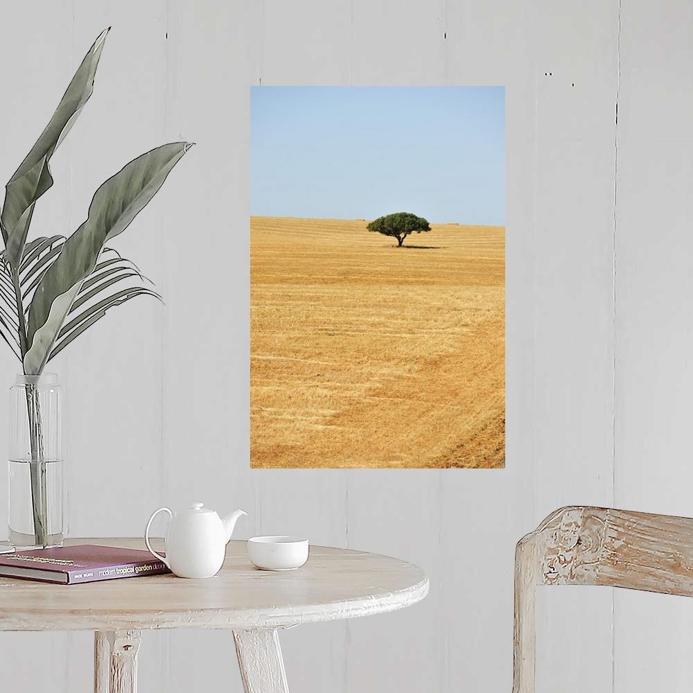 Alentejo Wallpapers - Top Free Alentejo Backgrounds - WallpaperAccess