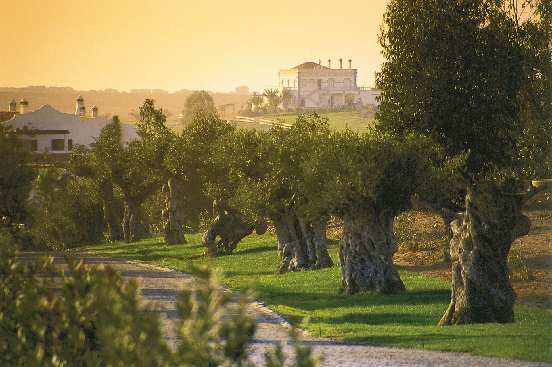 Alentejo Wallpapers - Top Free Alentejo Backgrounds - WallpaperAccess