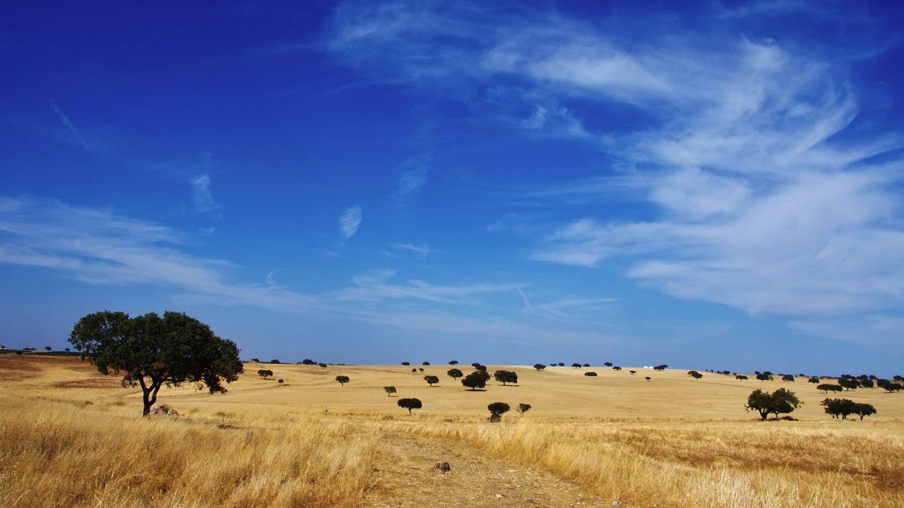 Alentejo Wallpapers - Top Free Alentejo Backgrounds - WallpaperAccess