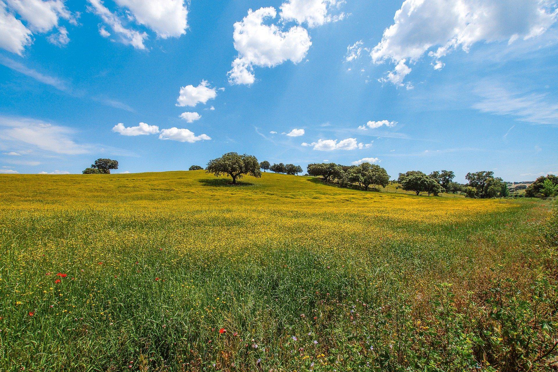 Alentejo Wallpapers - Top Free Alentejo Backgrounds - WallpaperAccess