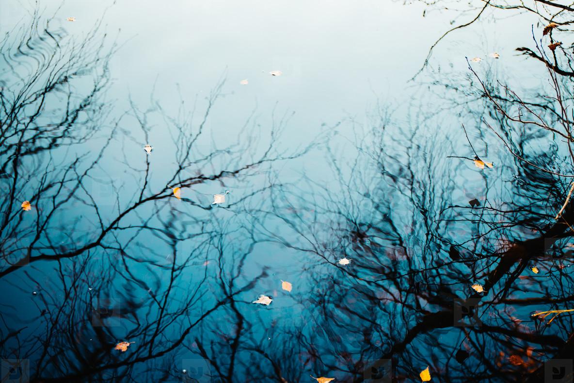 Moody Nature Wallpapers - Top Free Moody Nature Backgrounds ...