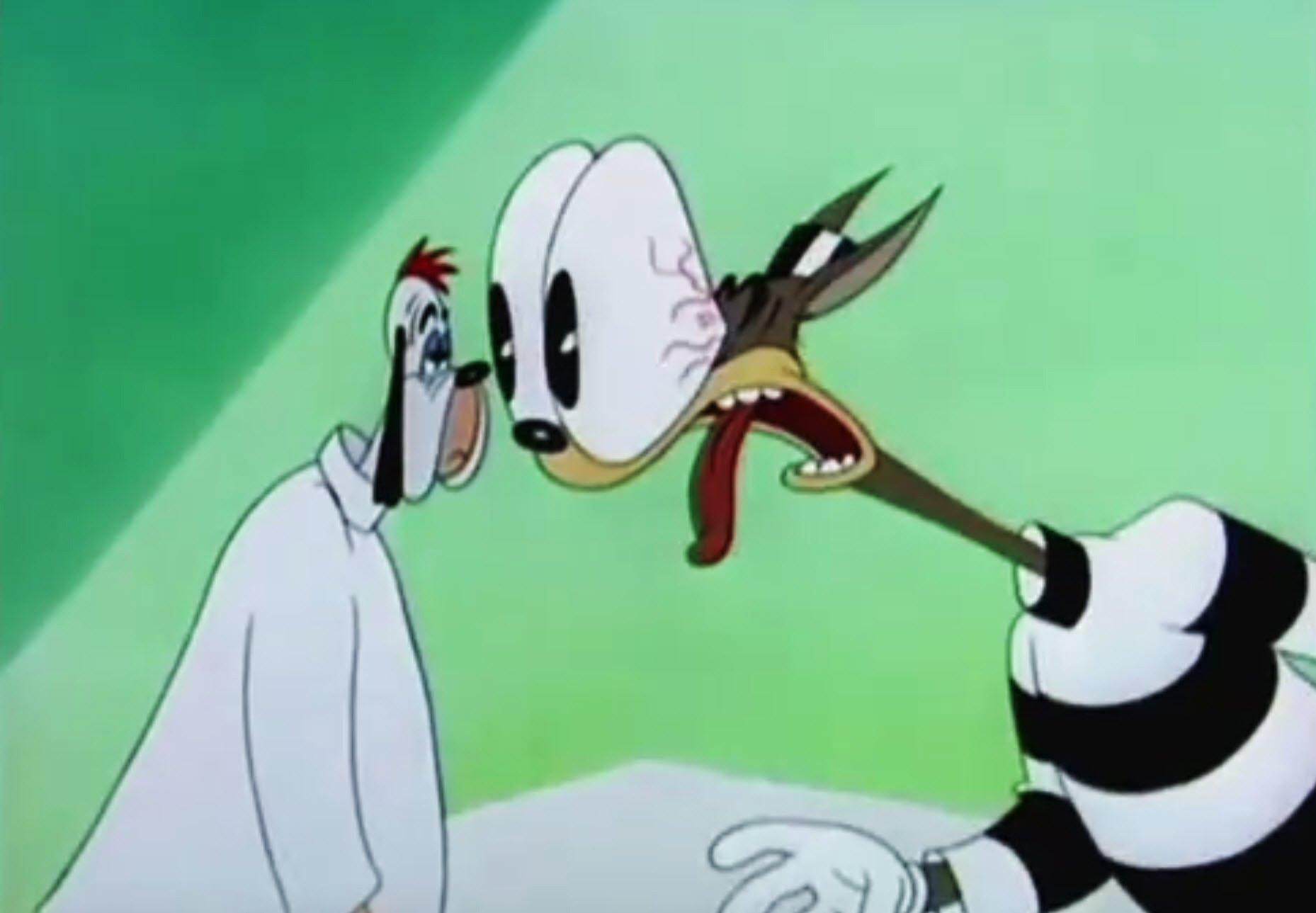 Droopy Wallpapers - Top Free Droopy Backgrounds - WallpaperAccess